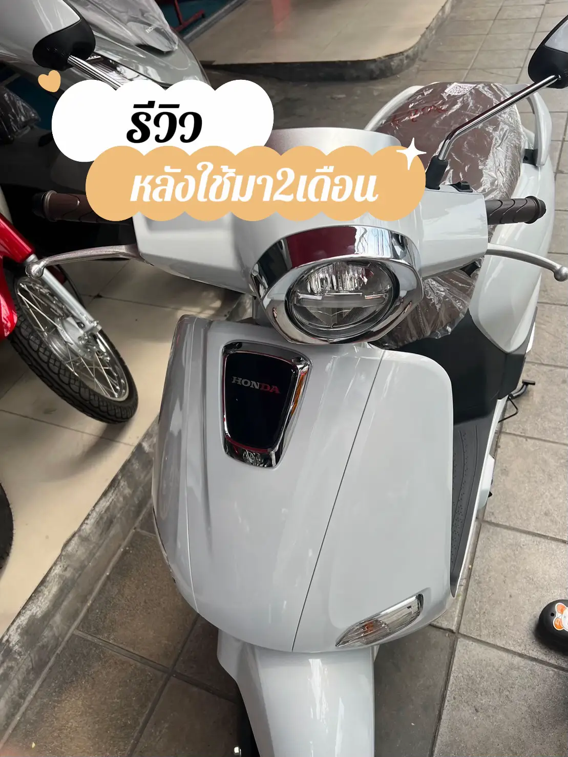 กัดฟันซื้อเงินสด !! | แกลเลอรีที่โพสต์โดย juta juta☁️⚡️ | Lemon8