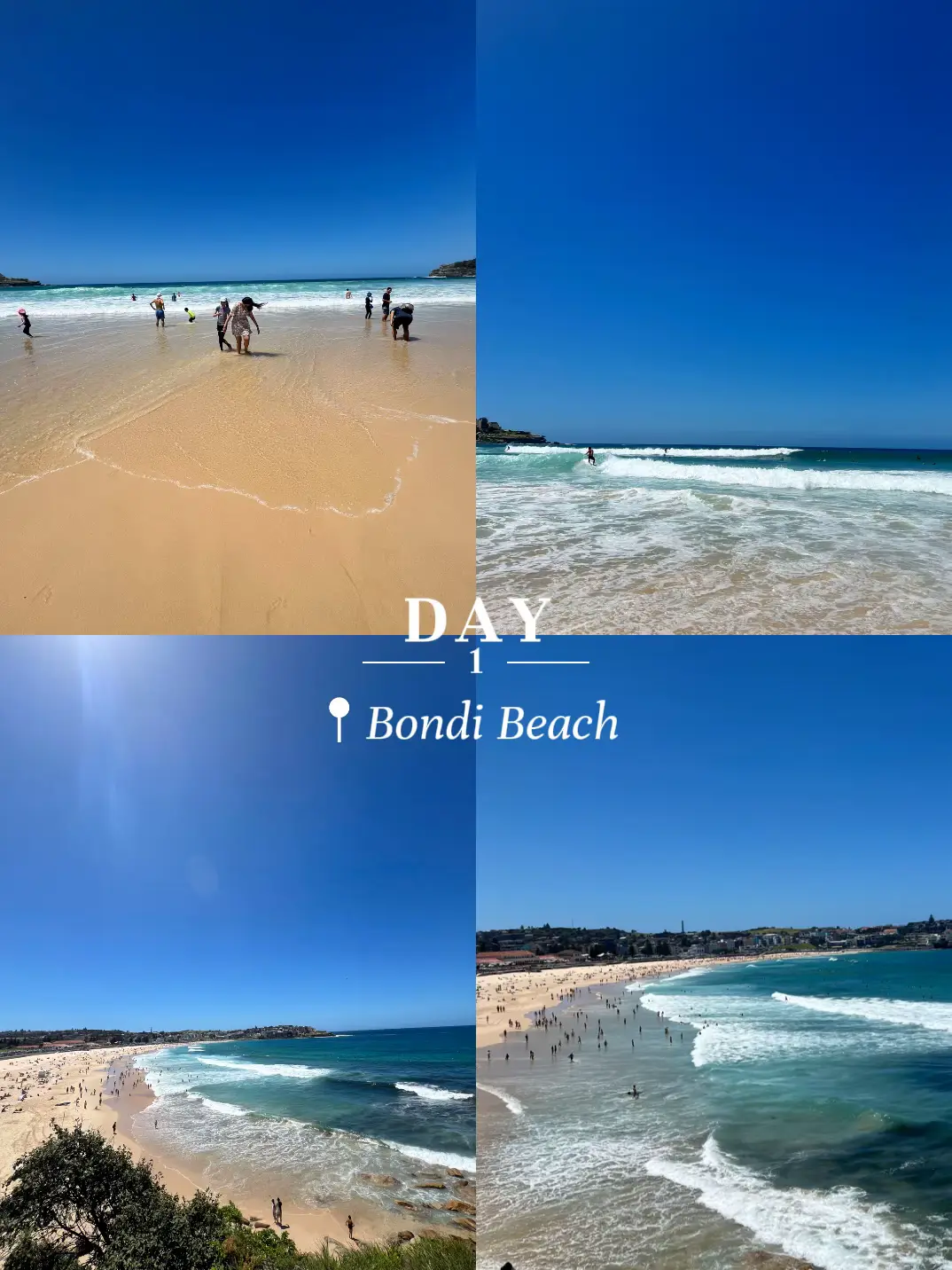 Sydney Adventures: Culture, Beach, and Bliss! | แกลเลอรีที่โพสต์โดย ...