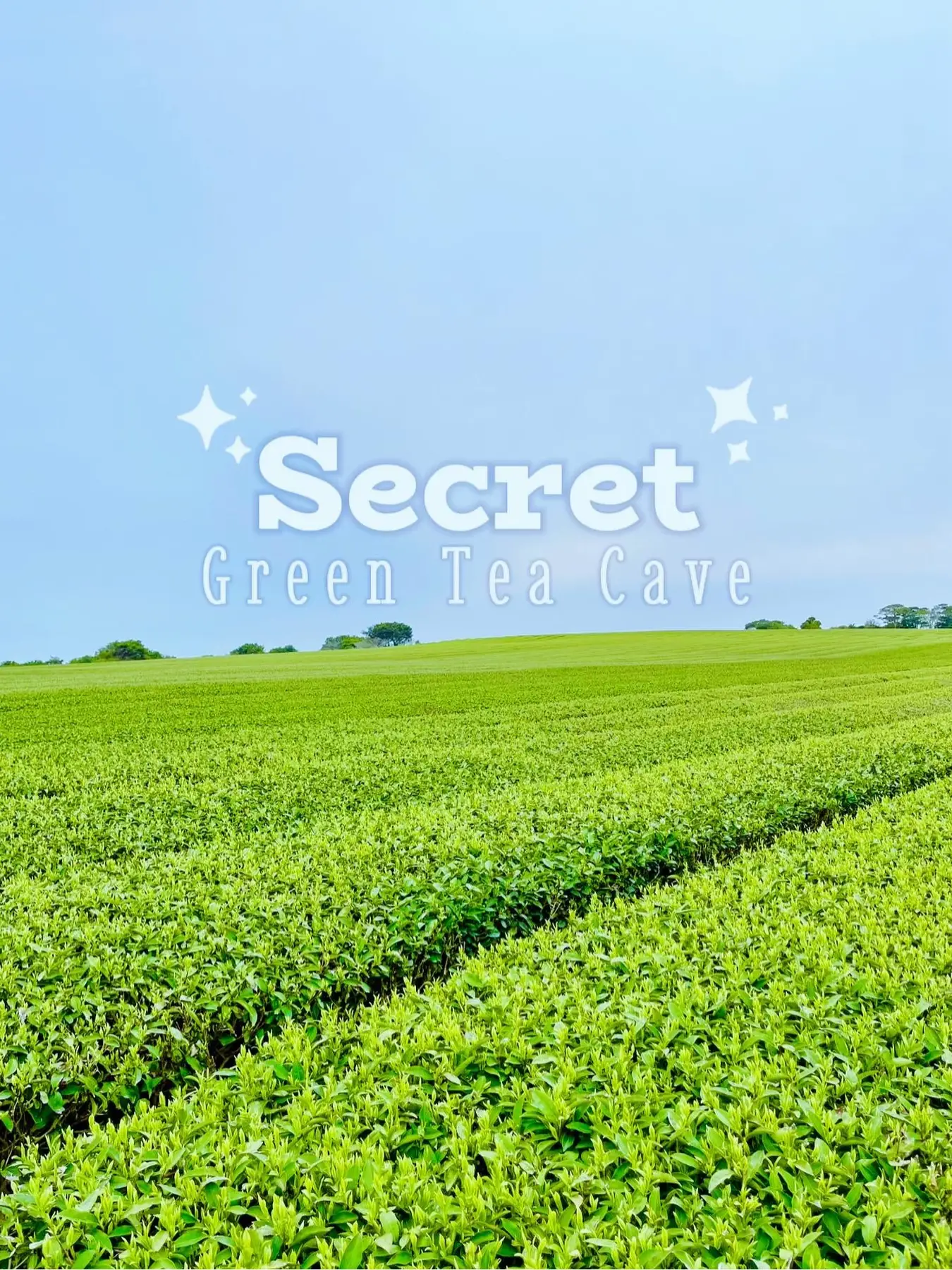 Explore the lesser known Green Tea Cave in Jeju! | Video published by ...