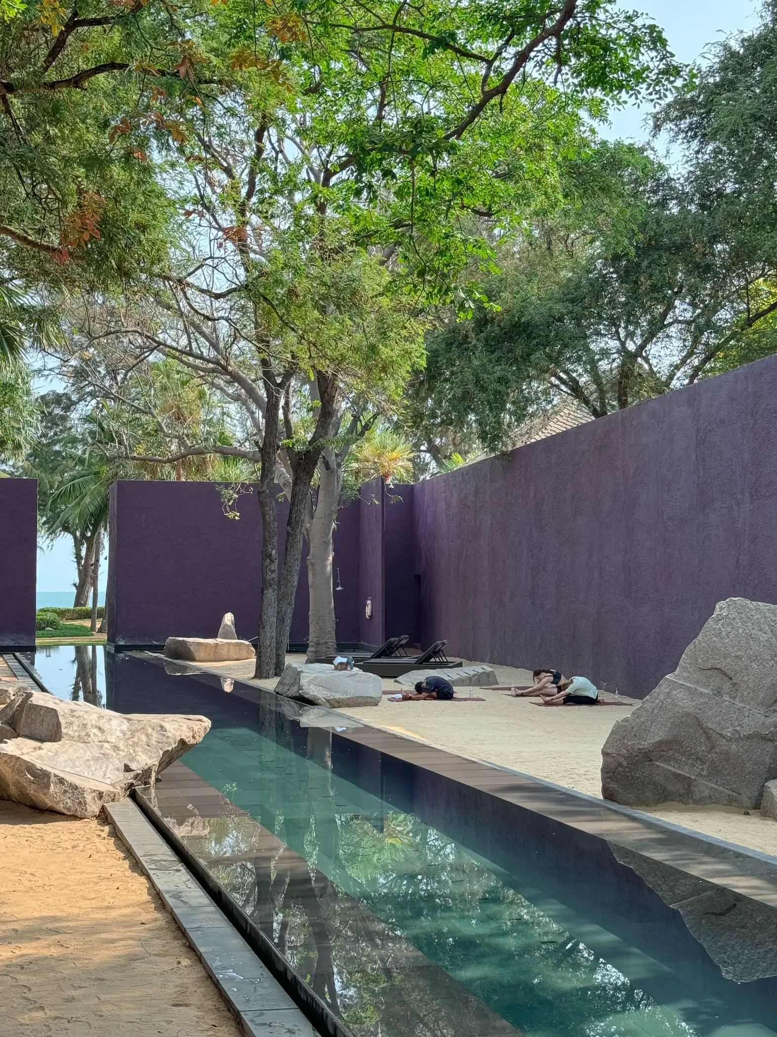 Hyatt Regency Hua Hin Luxury Hotel 5 Star Burr Tree in Hua Hin🥰 ...