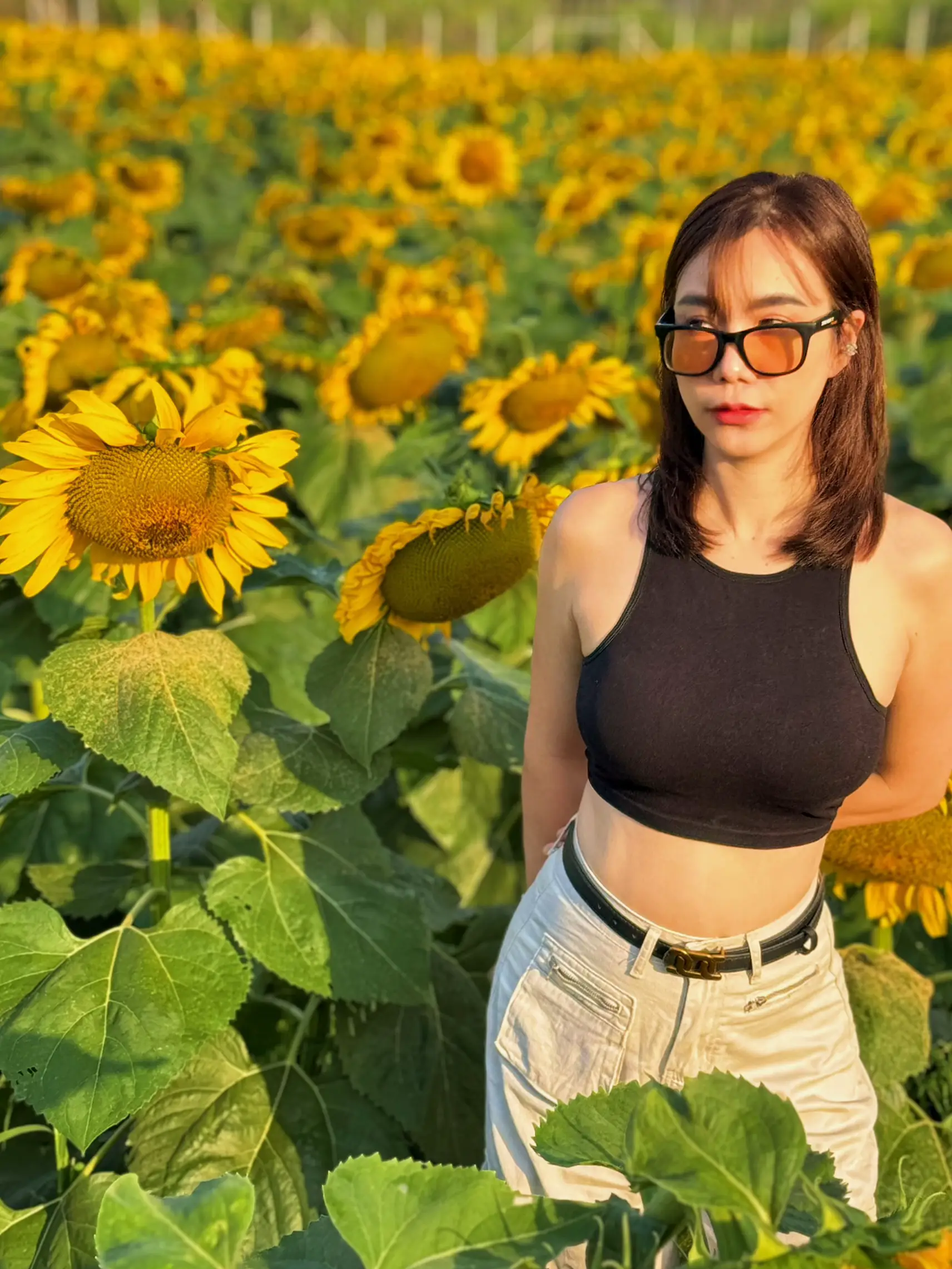 🌻แชร์ทริคถ่ายกับทุ่งทานตะวันสุดฮิต🌻 | แกลเลอรีที่โพสต์โดย Chali.26 | Lemon8