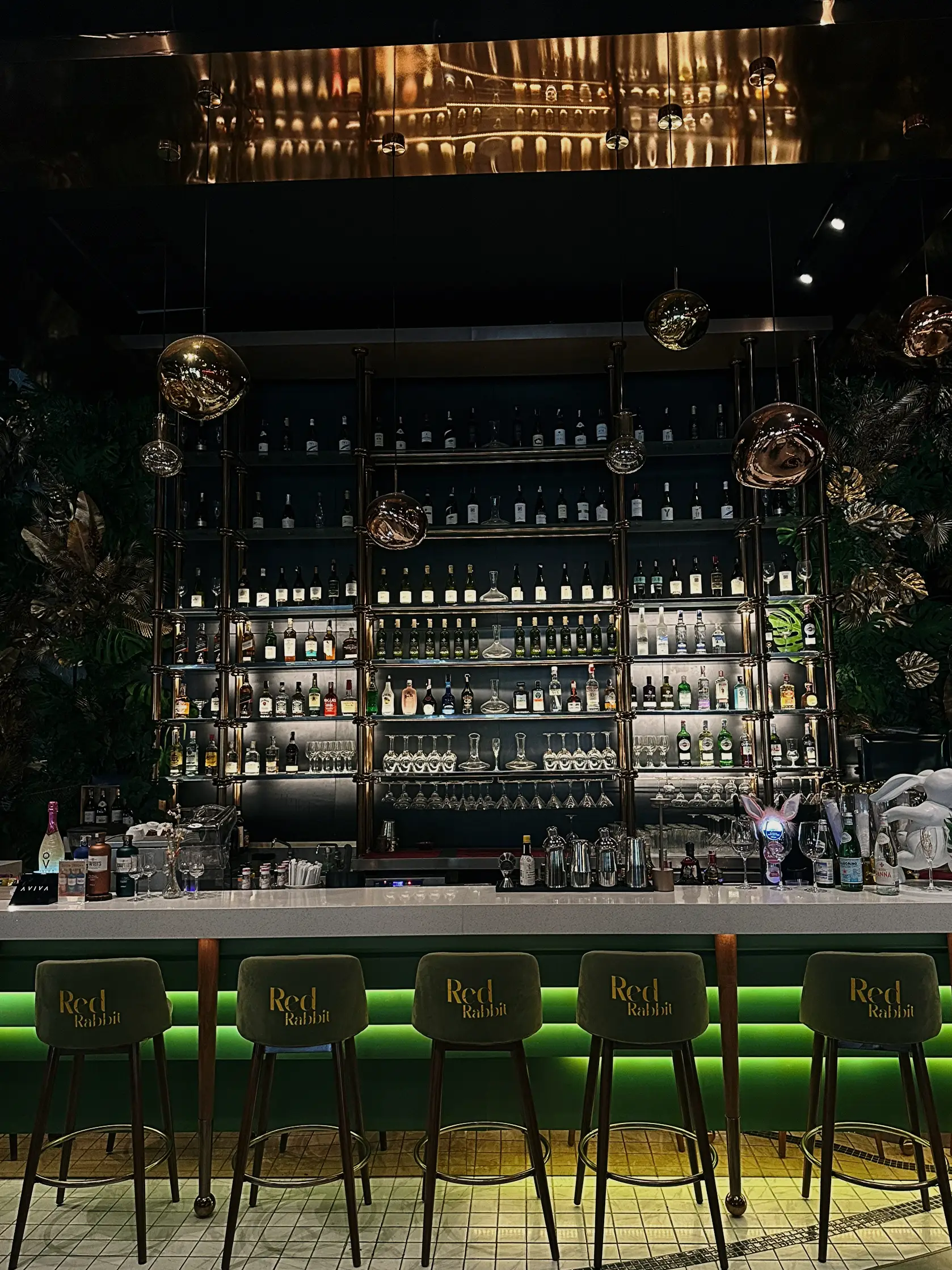 RED RABBIT🐇 ชาวราชพฤกษ์ค่า ไปดินเนอร์ในโพรงกระต่ายกัน 🍽️ | แกลเลอรีที่ ...