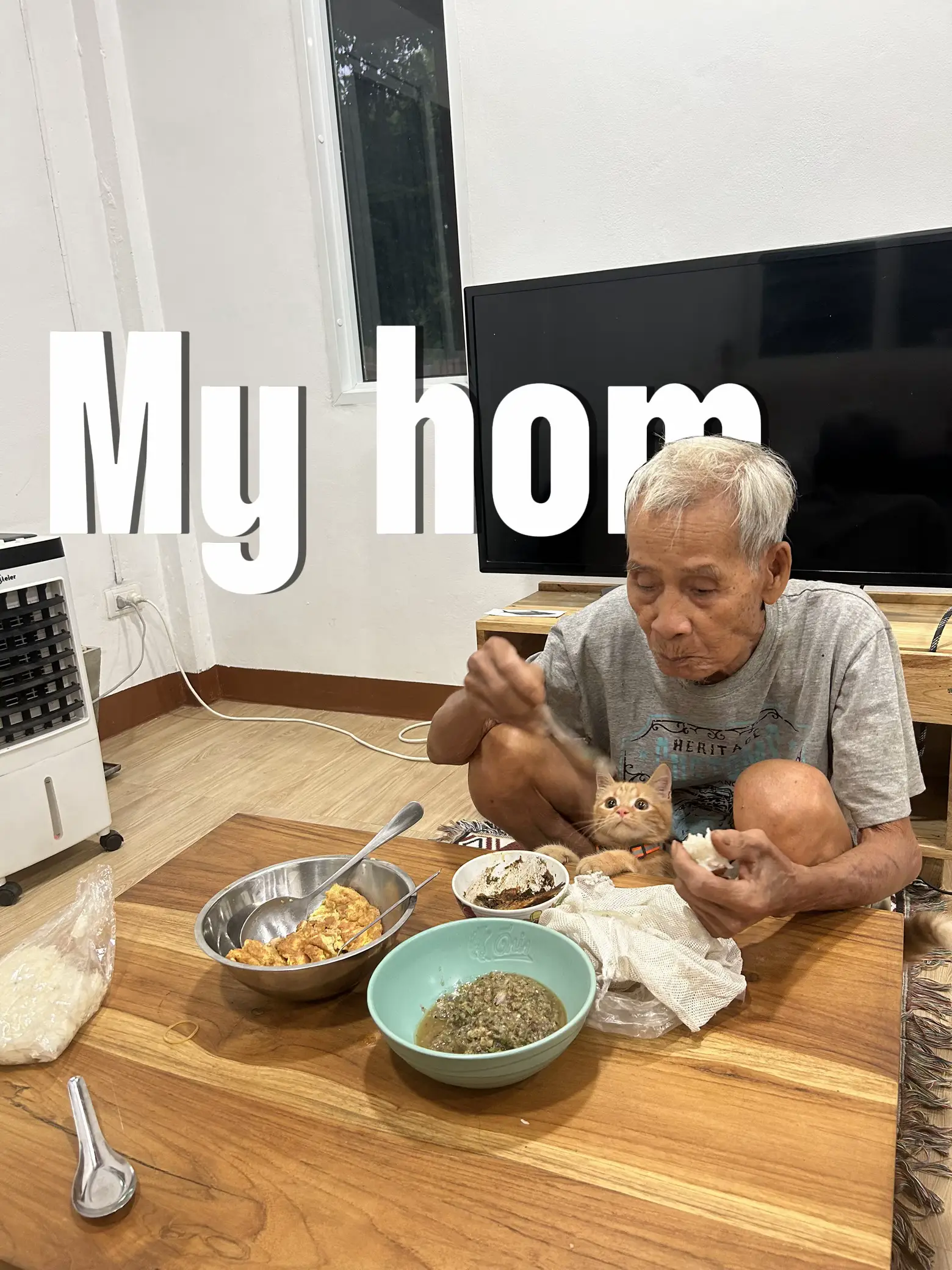 My hom ซีวิตที่อยู่กับแมวและปู่ | แกลเลอรีที่โพสต์โดย My hom | Lemon8