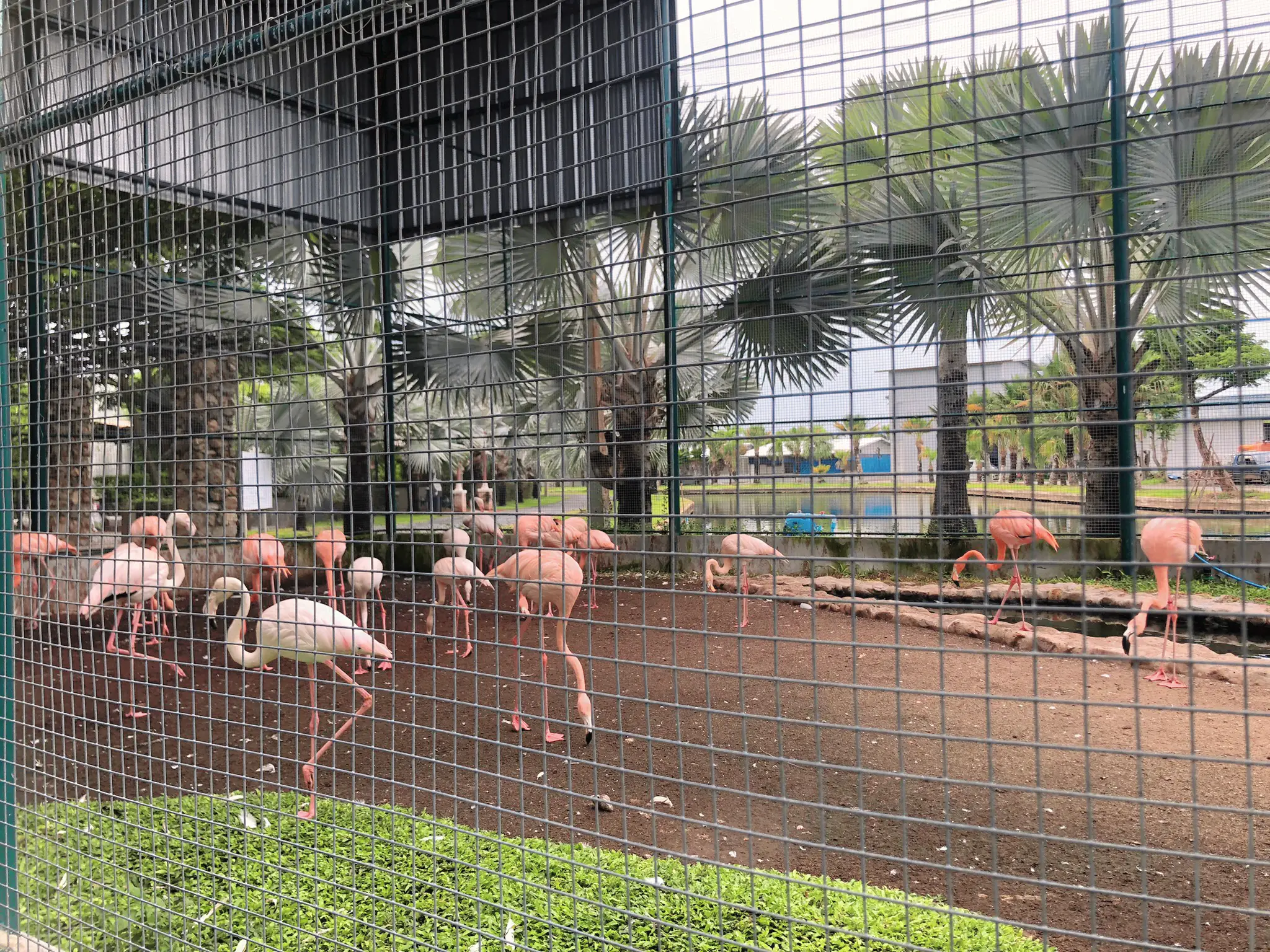 One Day Trip in ฉะเชิงเทรา | แกลเลอรีที่โพสต์โดย 💄👗doo_se_nu_nut | Lemon8