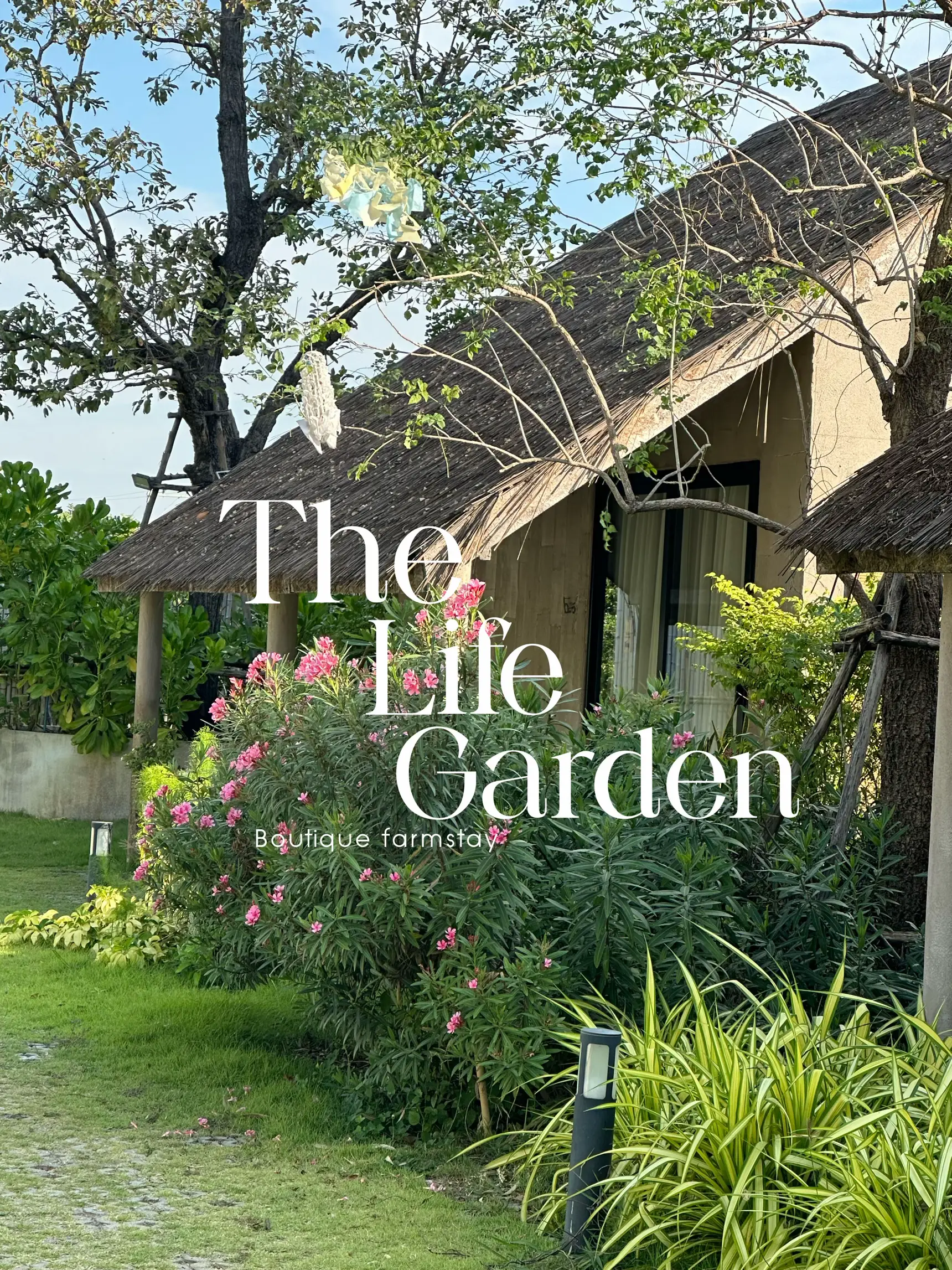 The Life Garden Farmstay ที่พักน่ารัก สงบใกล้ชิดธรรมชาติ🪿🌳 | แกลเลอรี ...