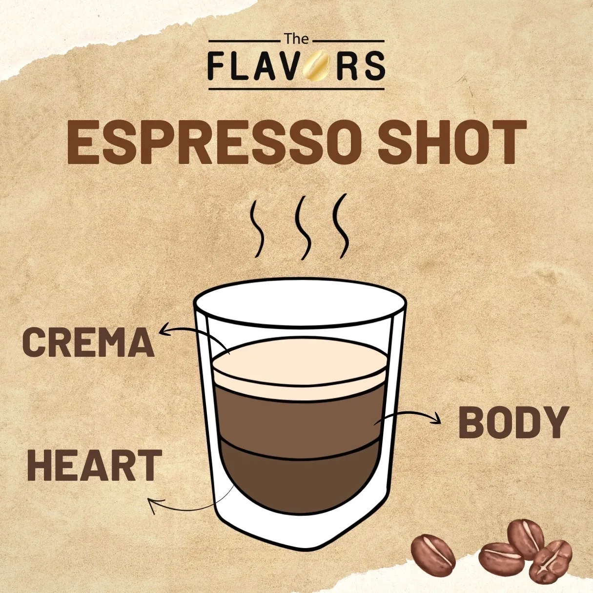 Espresso shot | แกลเลอรีที่โพสต์โดย theflavors ☕️ | Lemon8