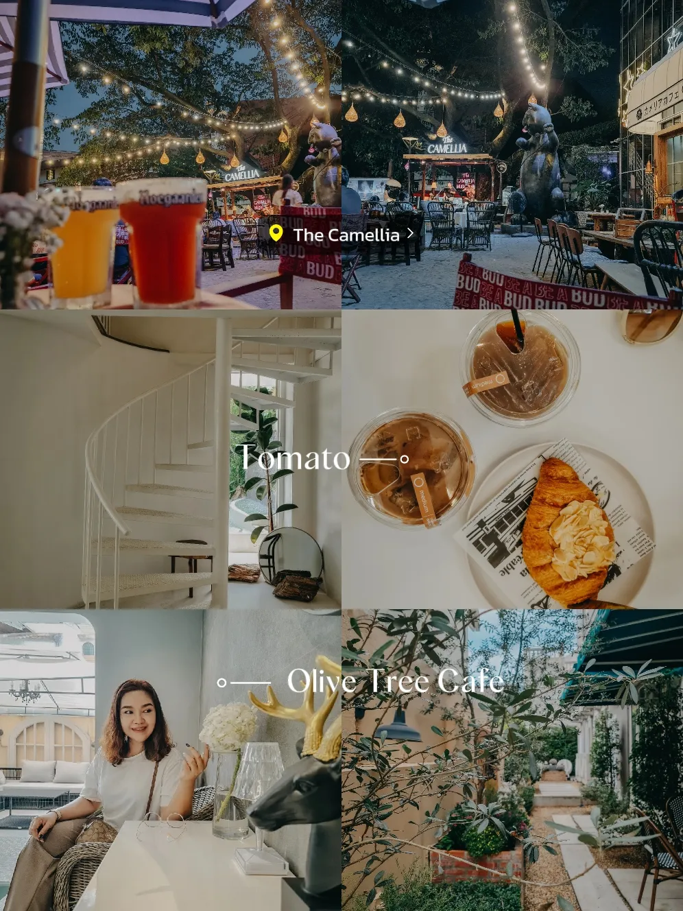 22 พิกัด 𝐂𝐡𝐢𝐚𝐧𝐠𝐦𝐚𝐢 𝟓 𝐃𝐚𝐲𝐬 𝟒 𝐍𝐢𝐠𝐡𝐭𝐬 | แกลเลอรีที่โพสต์โดย Noolek Checkin | Lemon8