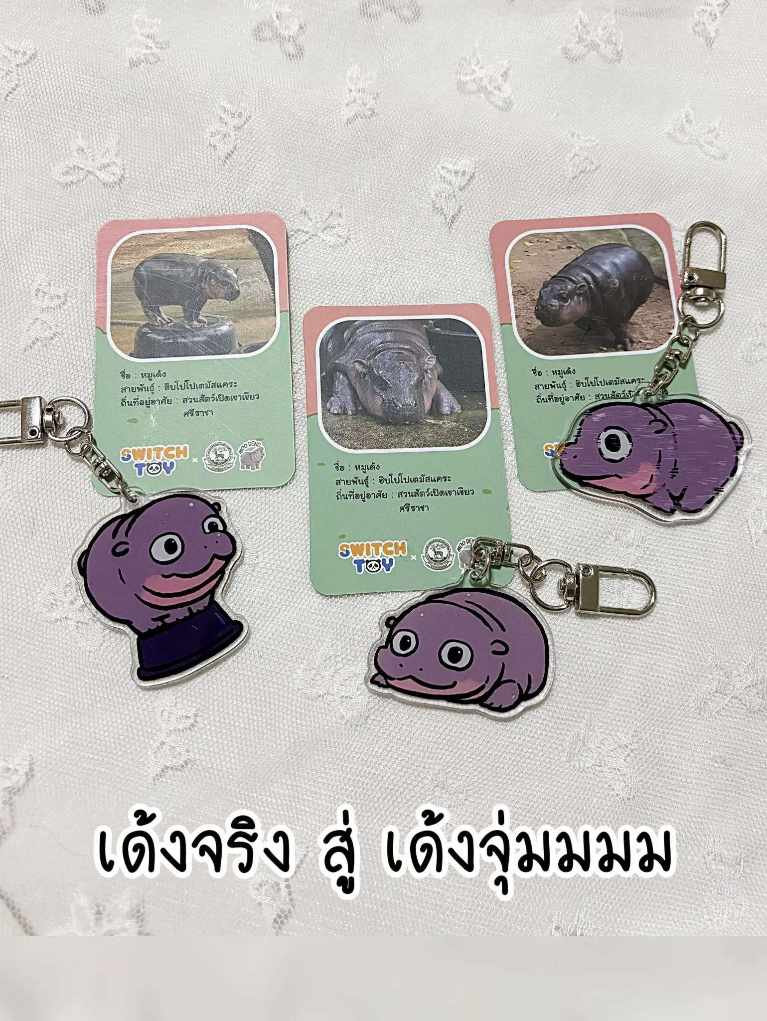 มา Unbox พวงกุญแจจุ่มมะ มะ หมูเด้งกันนน 💖 | แกลเลอรีที่โพสต์โดย ...