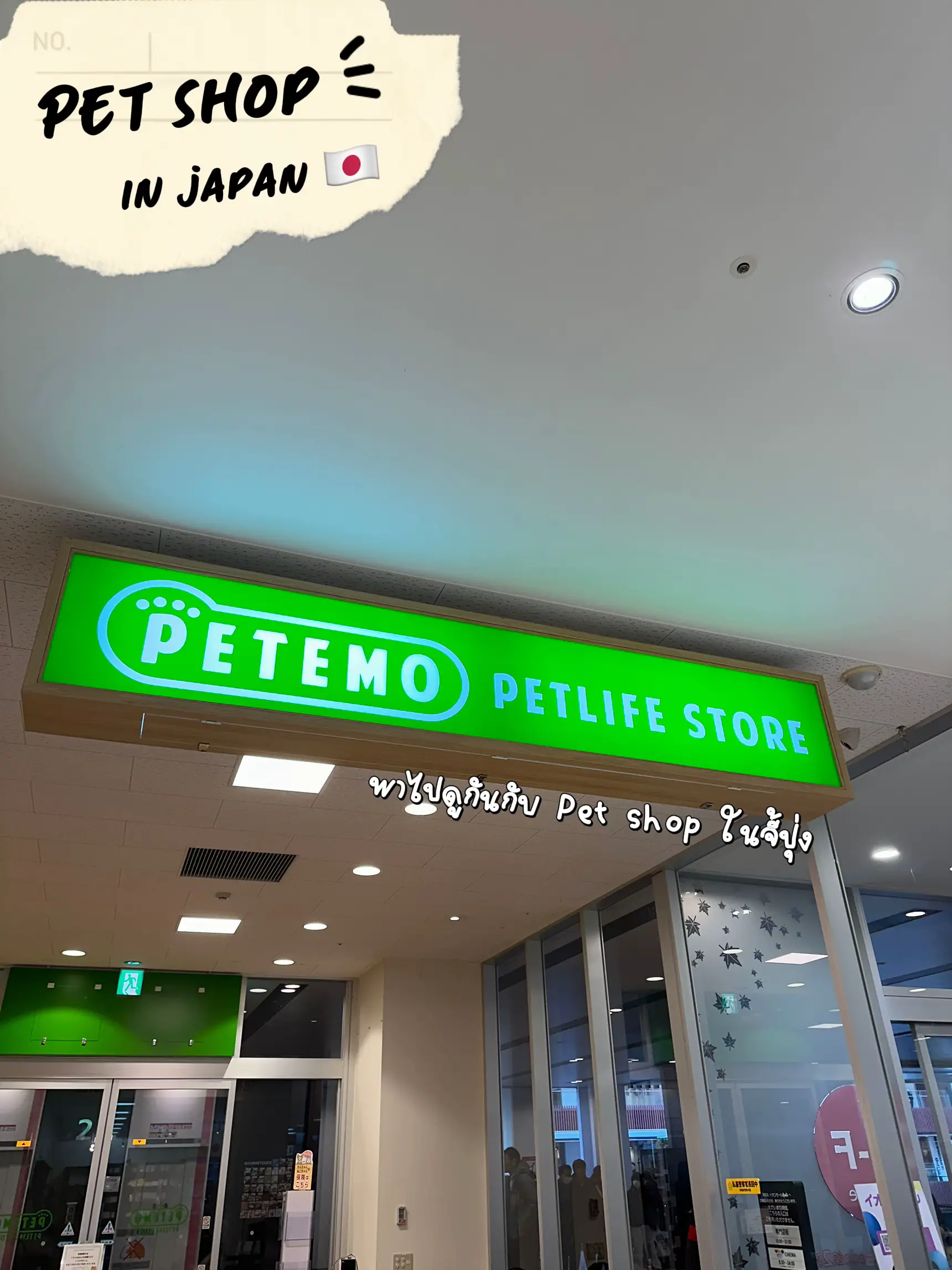 Take to see Pet shop in Japan 🇯🇵 ep.2!! | Gallery posted by แก๊งสี่ ...