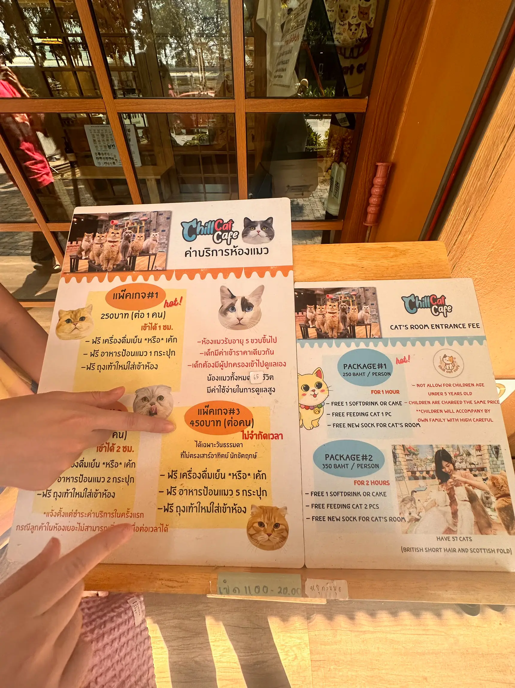 มาฮีลใจที่Chill cat cafe คาเฟ่แมวดังในตต ย่านเพชรเกษม | แกลเลอรีที่ ...