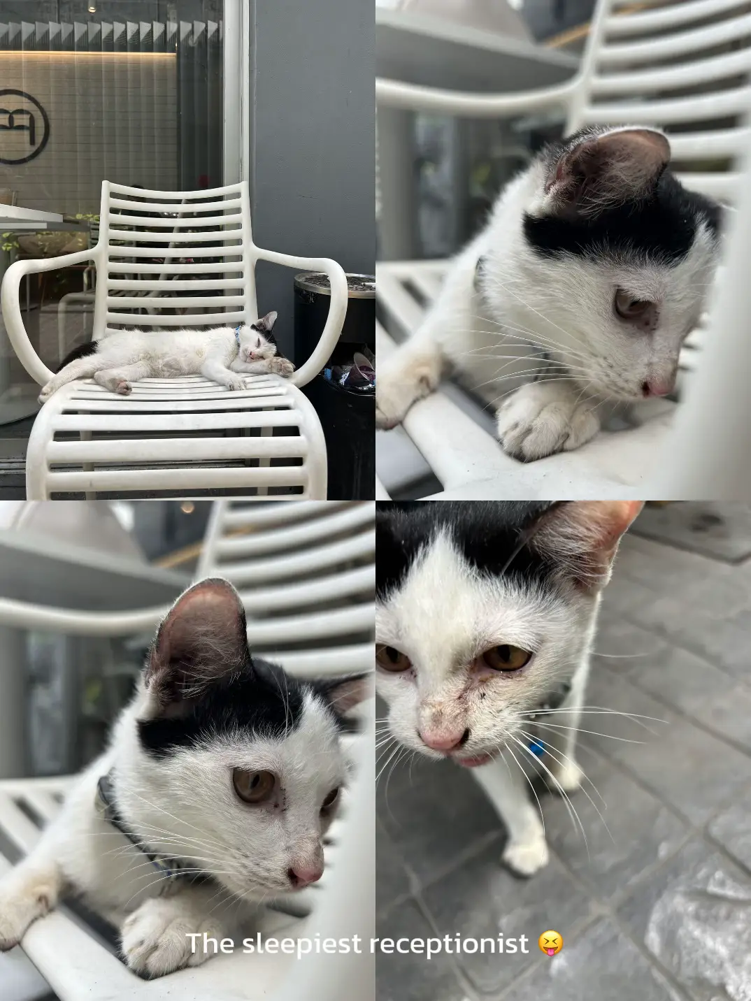 Hostel สุดชิคย่านสีลม เช็คอินได้ 24 ชั่วโมง "Tiang Studio" | แกลเลอรี ...