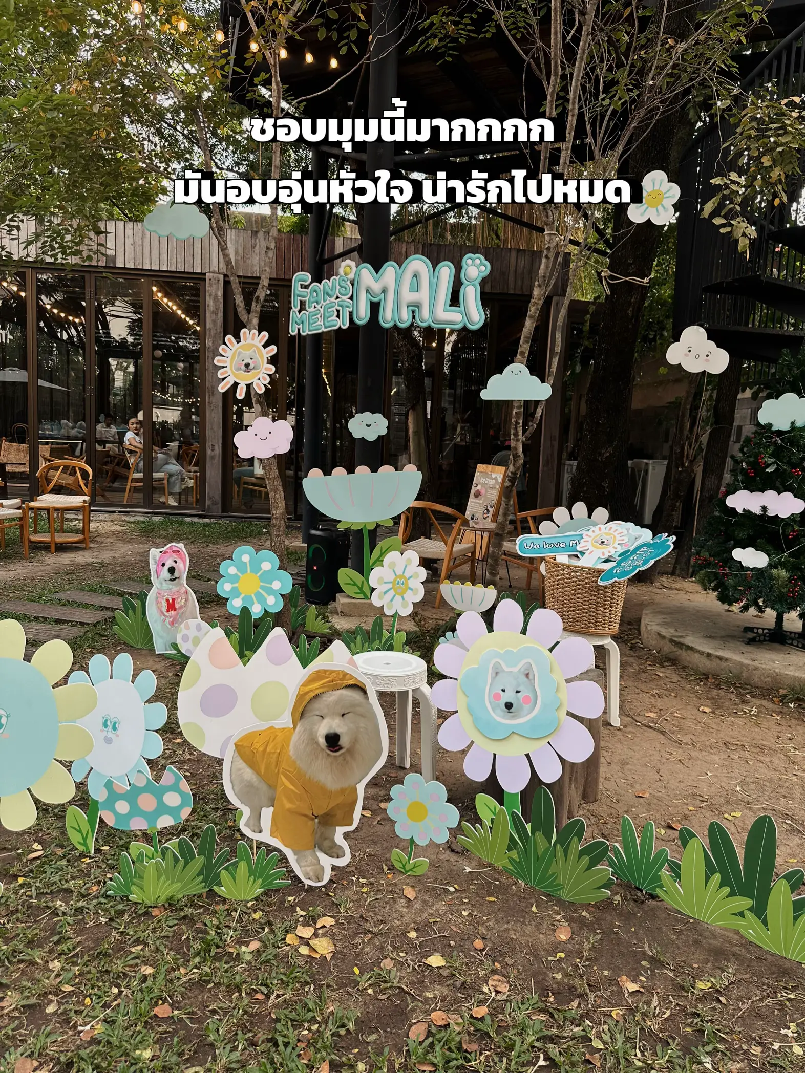ไปเป็นพี่เลี้ยงออฟไลน์ของคุณหนูมะลิ1วัน🐻‍ ️ | แกลเลอรีที่โพสต์โดย 08.atom.diary | Lemon8