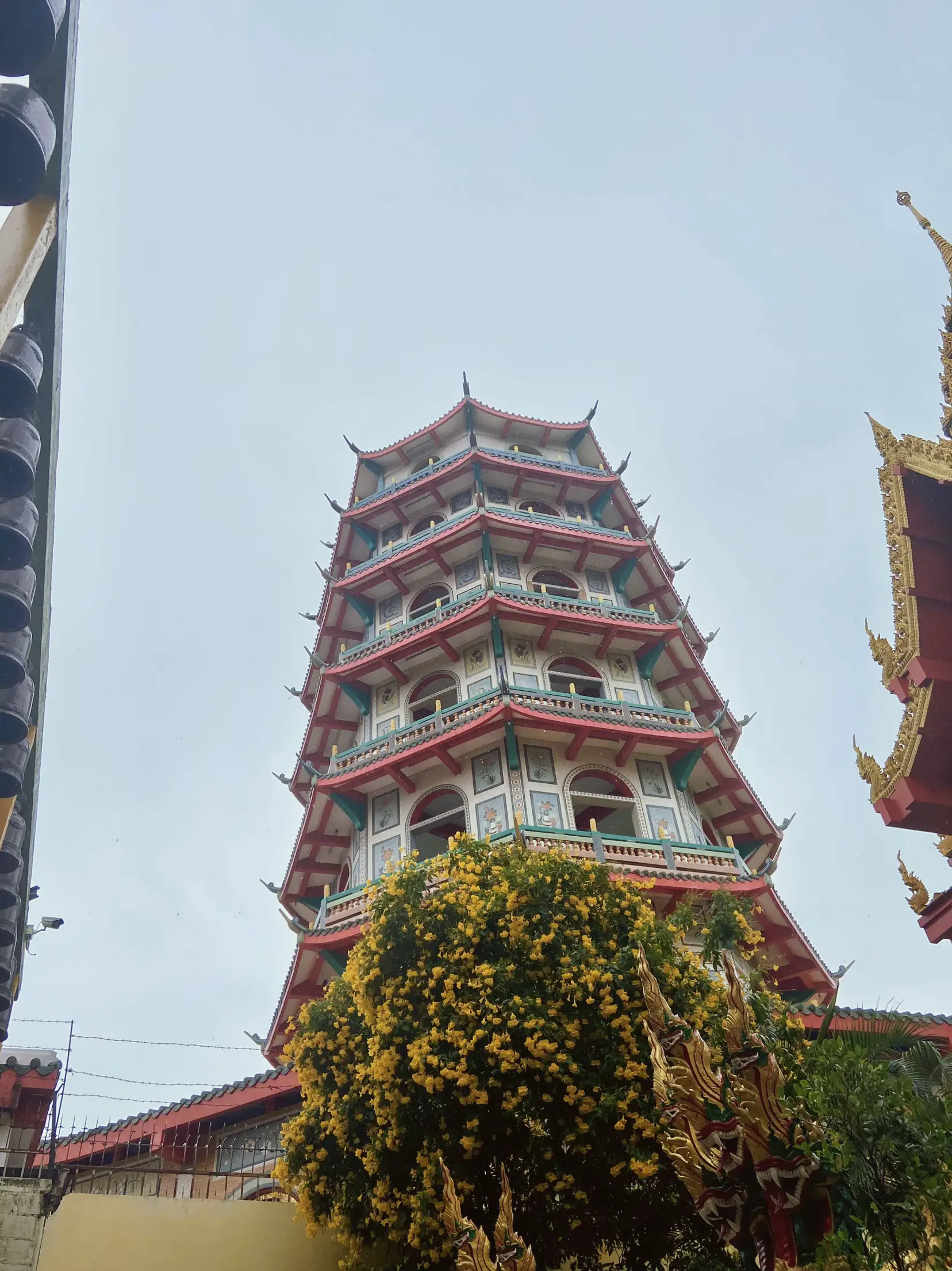 เที่ยววัดถ้ำเสือ จังหวัดกาญจนบุรี ชมทุ่งนาสีเขียวขจีในหน้าฝน | แกลเลอรี ...