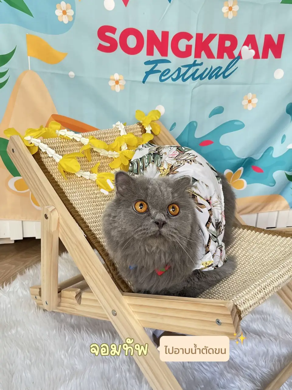 จอมทัพหญิงไร้พ่าย21 - การค้นหาใน Lemon8