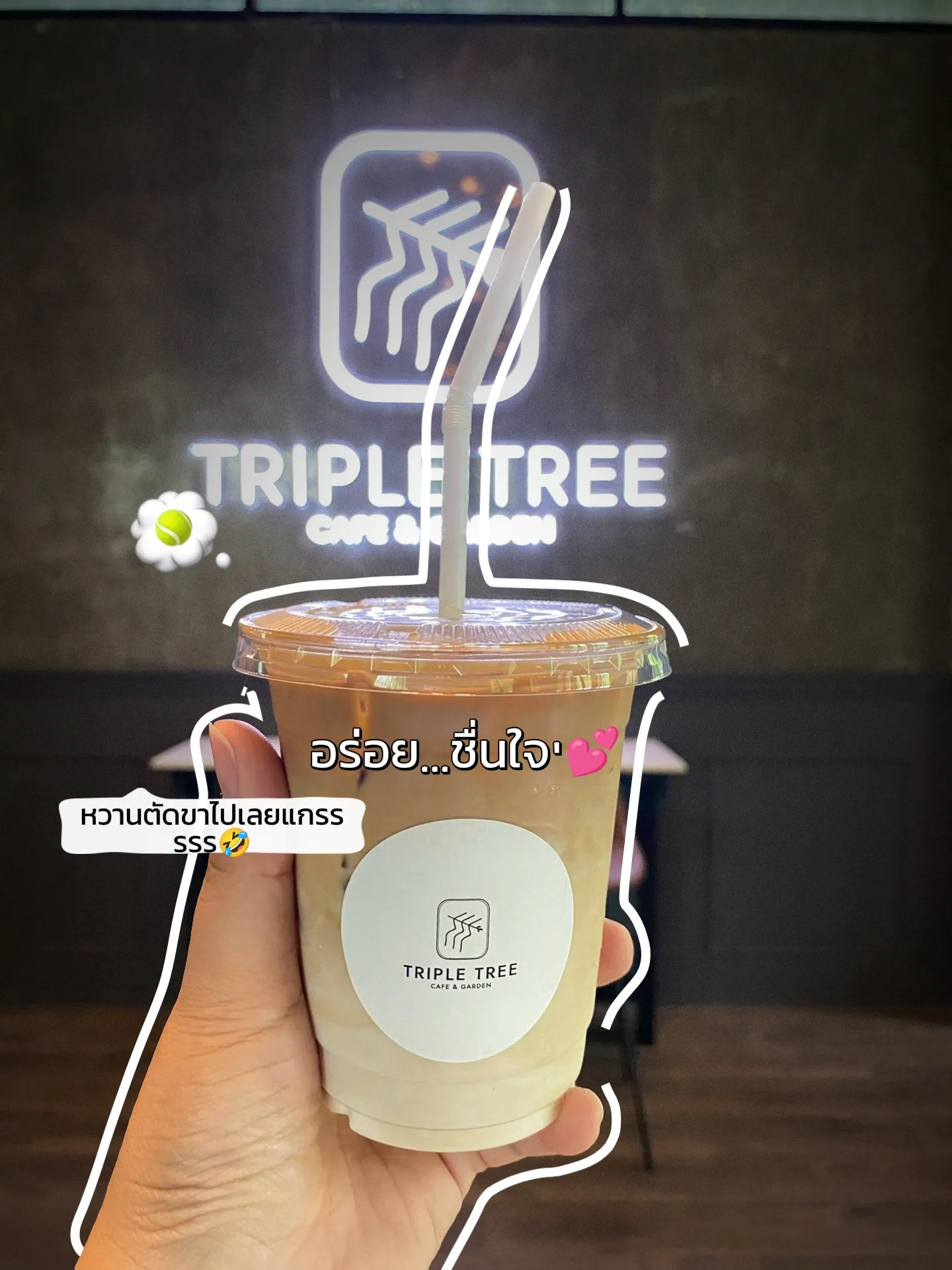 📸 แนะนำคาเฟ่ Triple Tree Café 📌คาเฟ่ใกล้กรุงเทพฯ | แกลเลอรีที่โพสต์โดย ...
