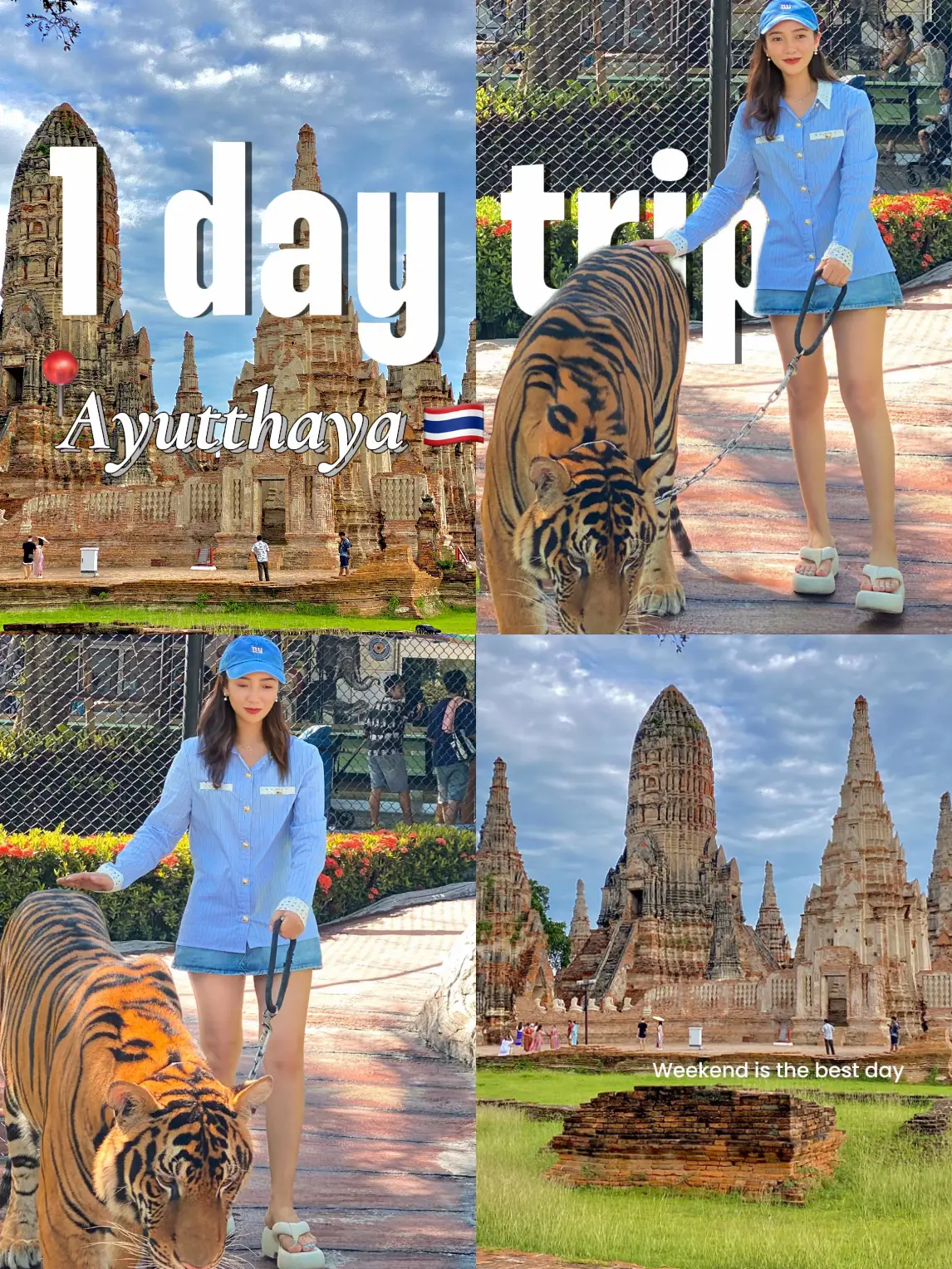 📍 One Day Trip อยุธยา แบบตัวมัม🐯 | แกลเลอรีที่โพสต์โดย NKK_XX98 | Lemon8