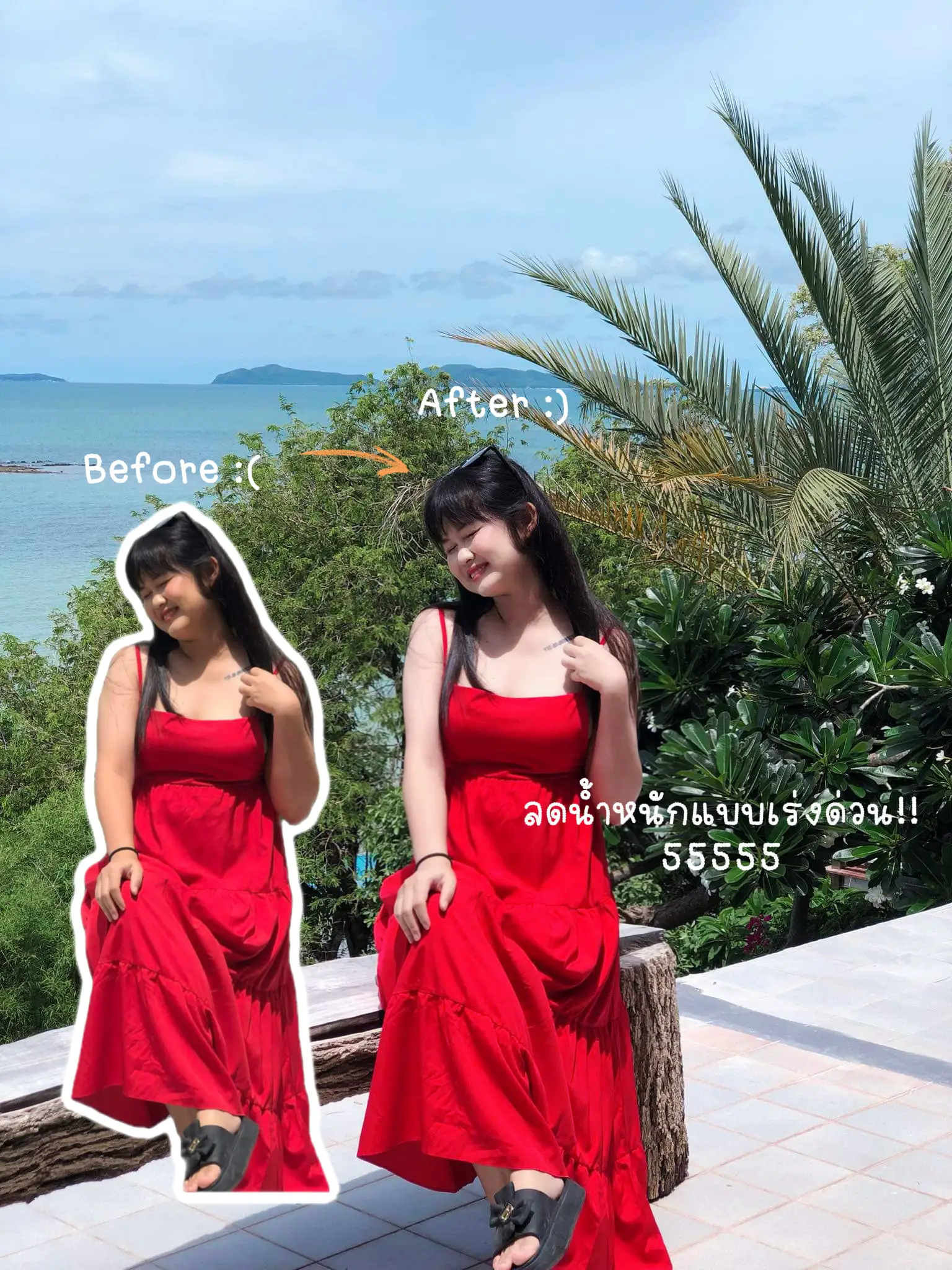 แต่งรูปลบพุงหมาน้อย - การค้นหาใน Lemon8