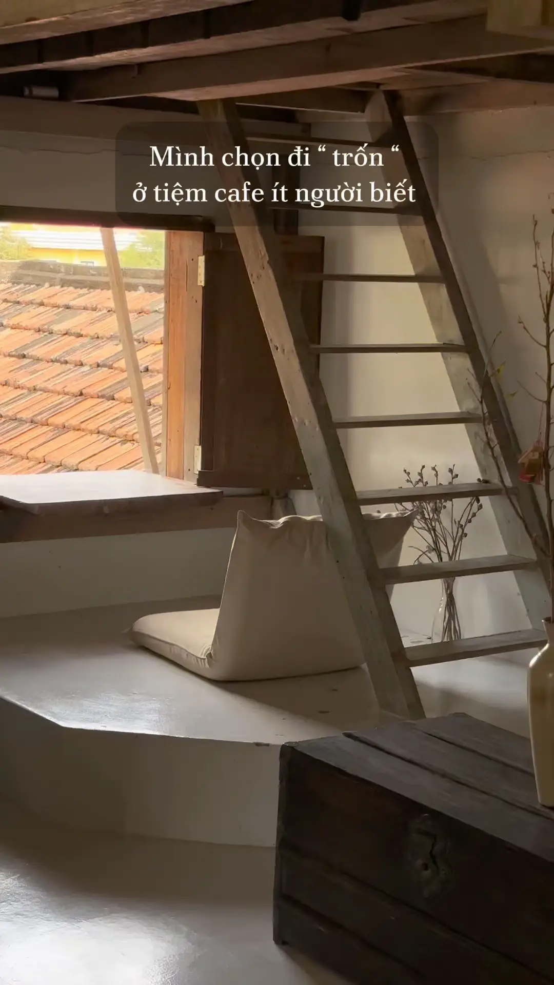 MỘT NGÀY THÀNH TỊNH TÂM HỒN | Video do Thanh Hằng đăng | Lemon8