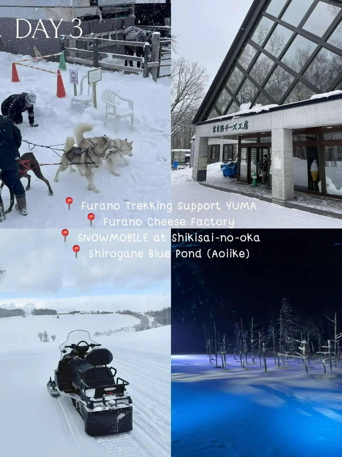 แจกแพลนเที่ยว hokkaido 8 วัน (ฉบับเช่ารถขับ&รถไฟฟ้า) ☃️🌨️🐧 | แกลเลอรีที่โพสต์โดย Couple_BM | Lemon8