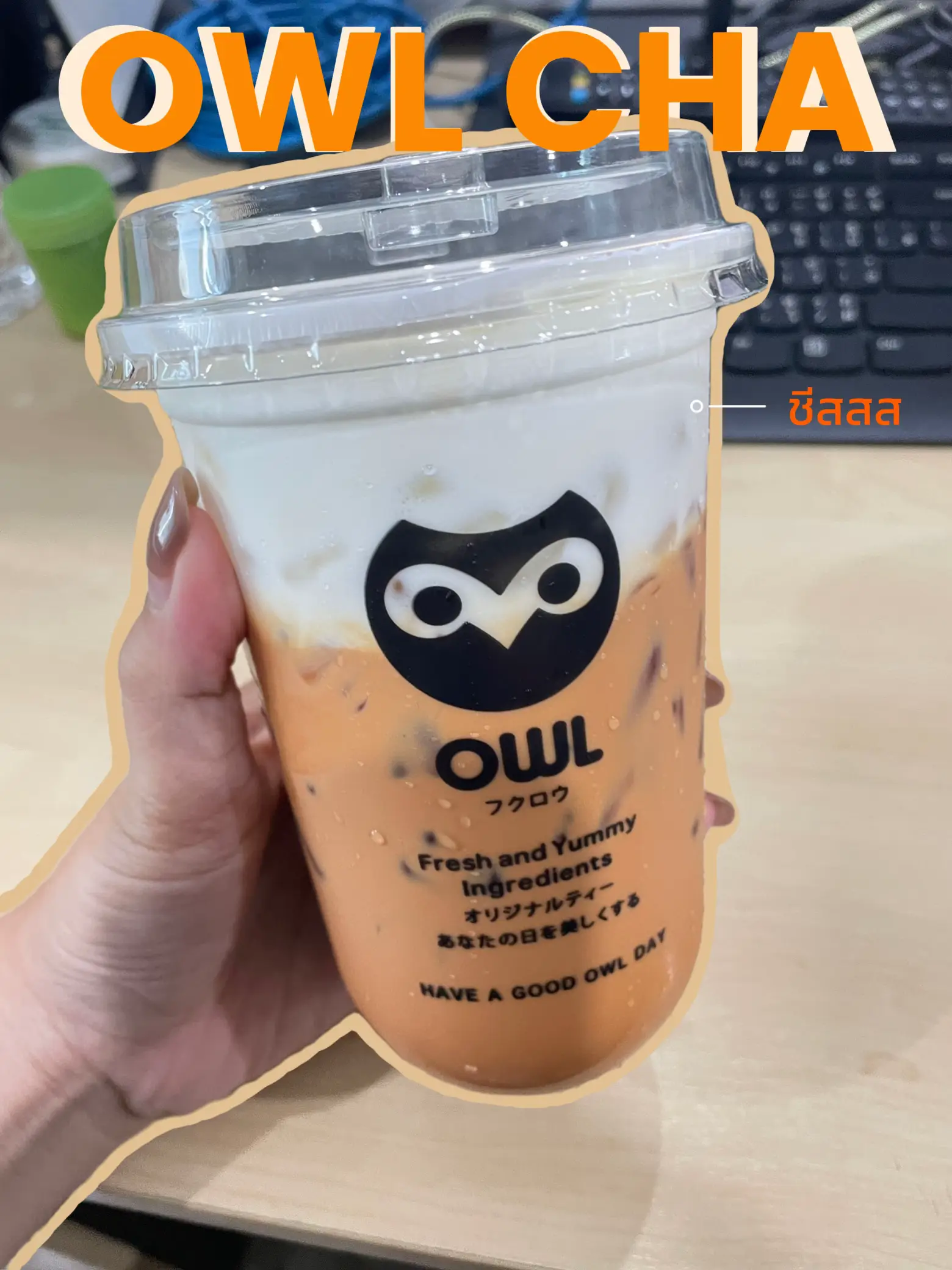 OWL CHA | แกลเลอรีที่โพสต์โดย _preawpreaw | Lemon8