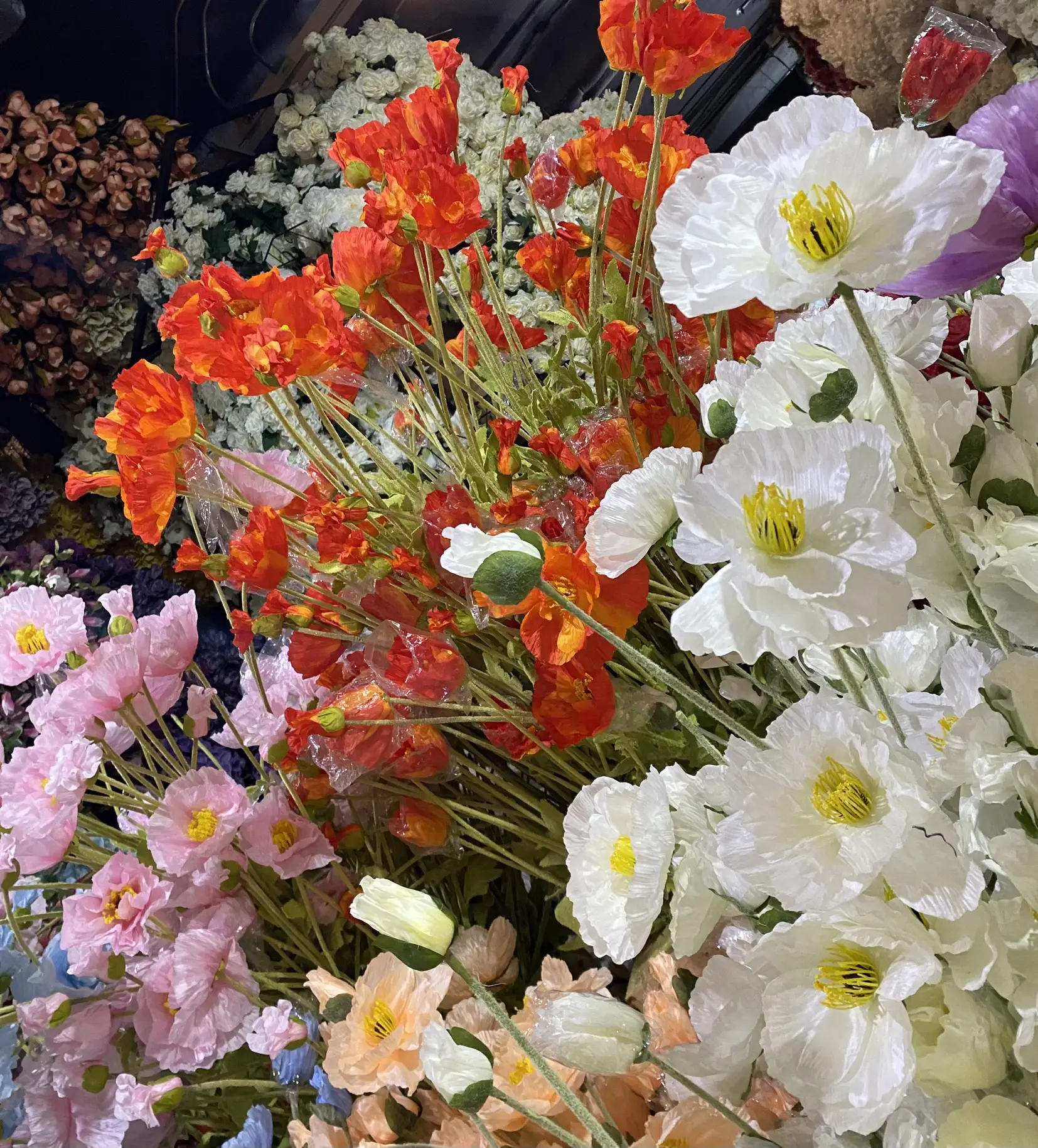 #แจกวอลเปเปอร์ ~ เอาใจสาวดอกไม้ 🌷 🌿[Flower Gallery] | แกลเลอรีที่โพสต์โดย may | Lemon8