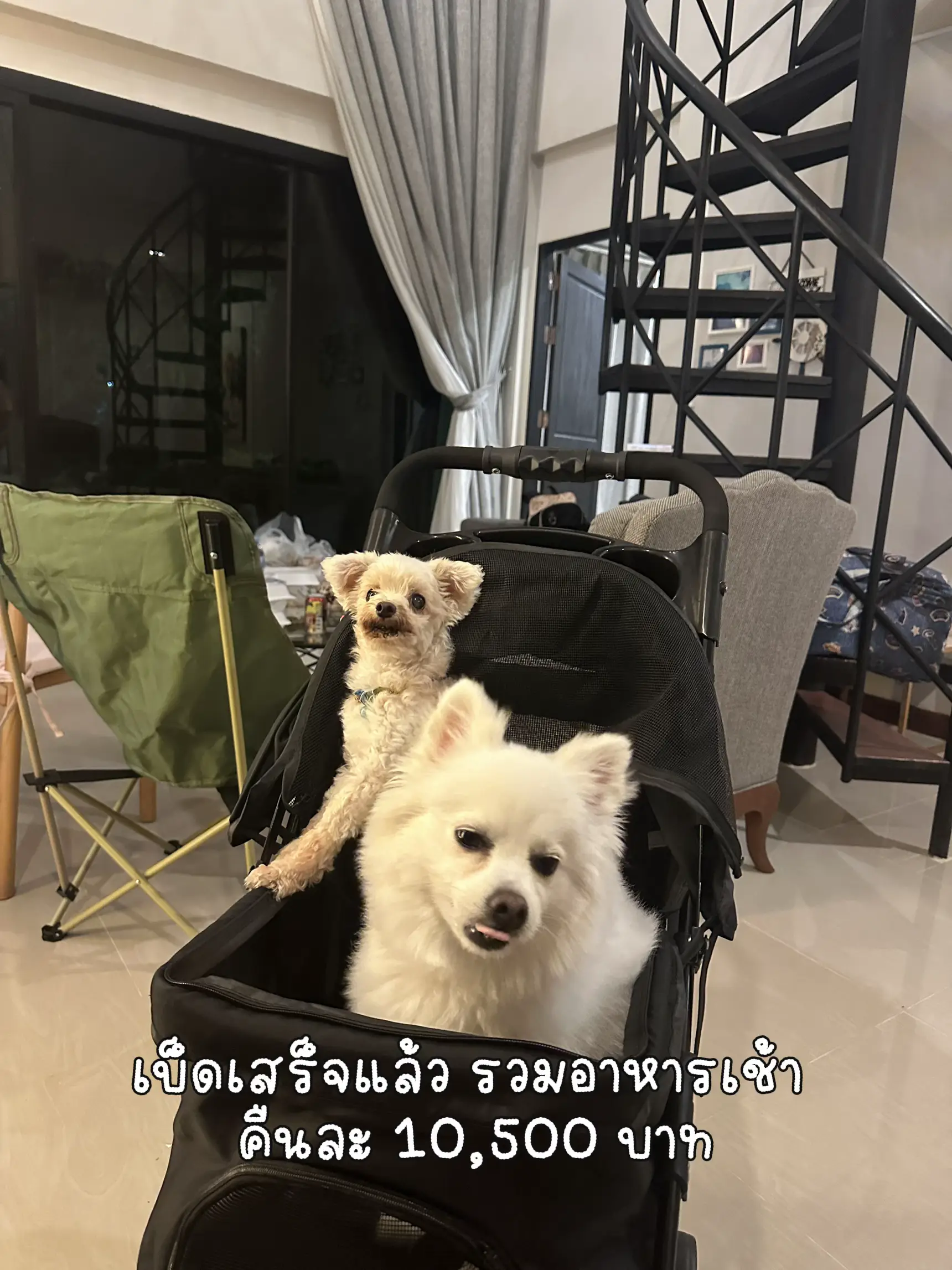 บ้านพักปราณบุรี คน7 หมา 3 👫🏻🐶 | แกลเลอรีที่โพสต์โดย Kunview | Lemon8
