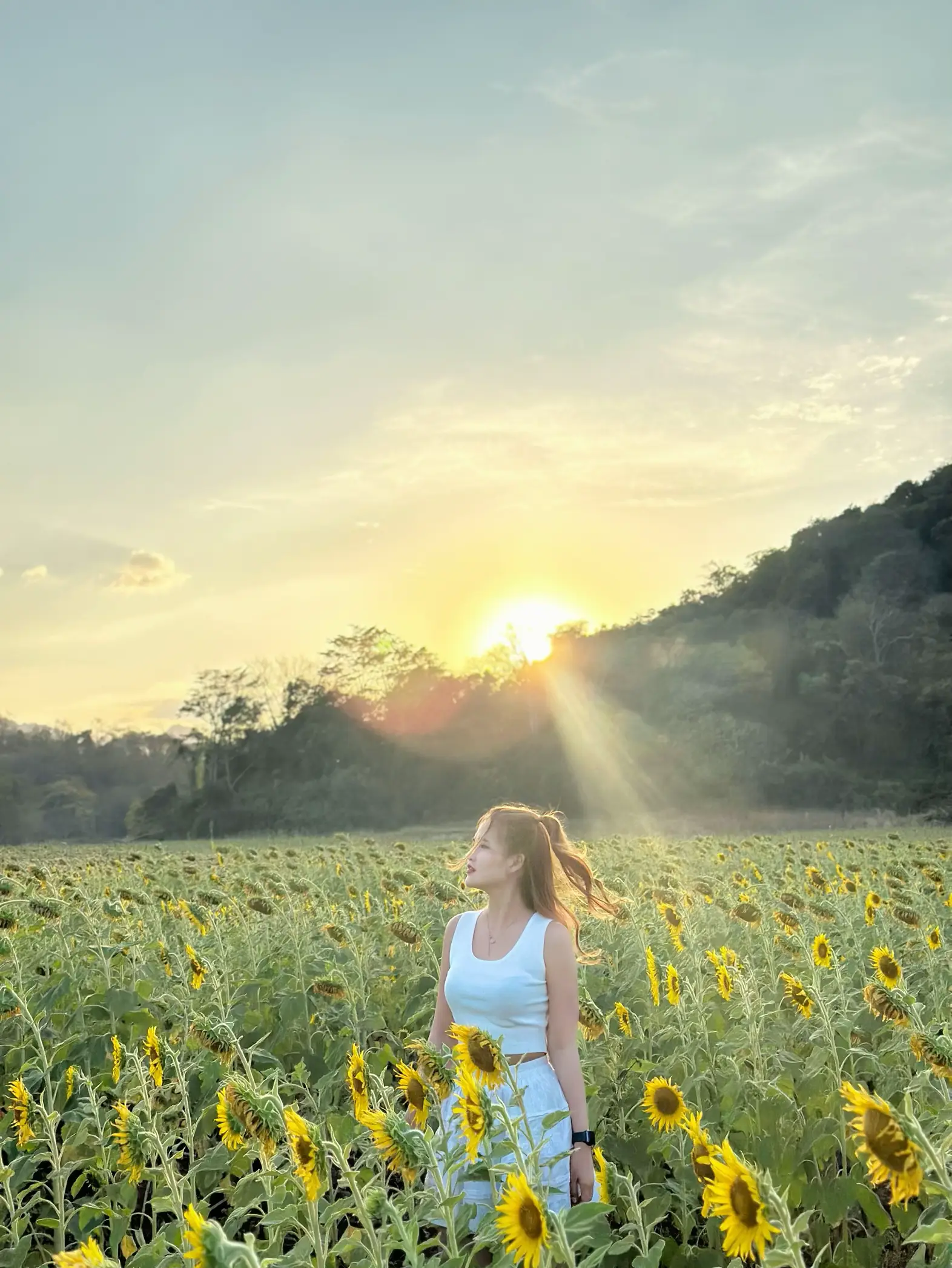 ひまわり🌻 | KiTaaaが投稿したフォトブック | Lemon8