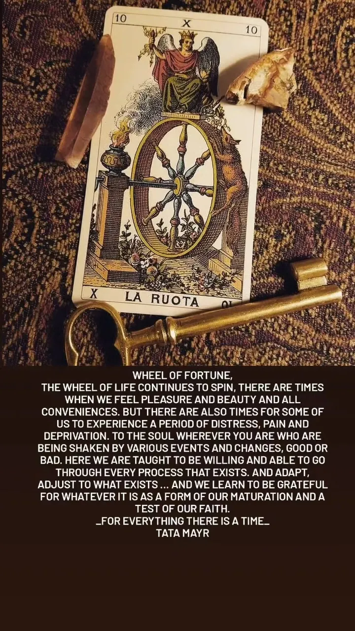 Wheel of fortune , Roda kehidu | Video dipublikasikan oleh Tata Mayr | Lemon8