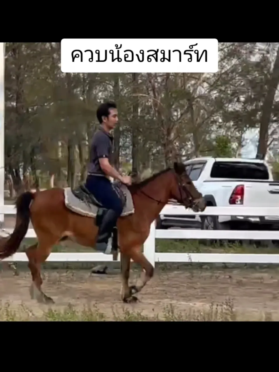 ♥️ น้องสมาร์ท | วิดีโอที่เผยแพร่โดย Peter Cho | Lemon8