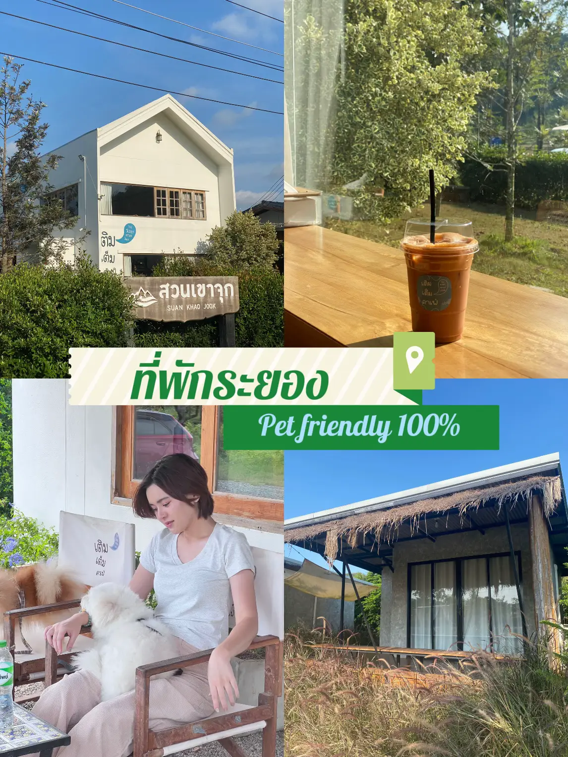 ที่พักระยอง Pet friendly 100% | แกลเลอรีที่โพสต์โดย EVENPS🐥 | Lemon8