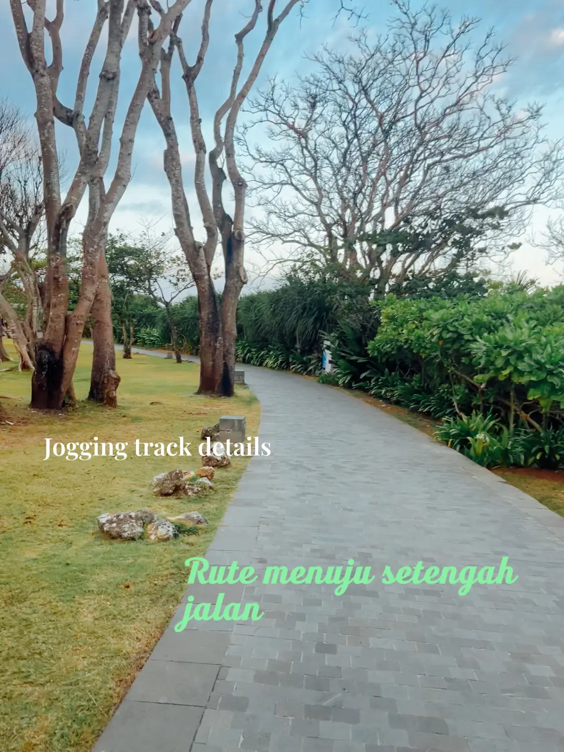“Versatile Jogging Track: Discover All You Can Do” | Galeri diposting ...