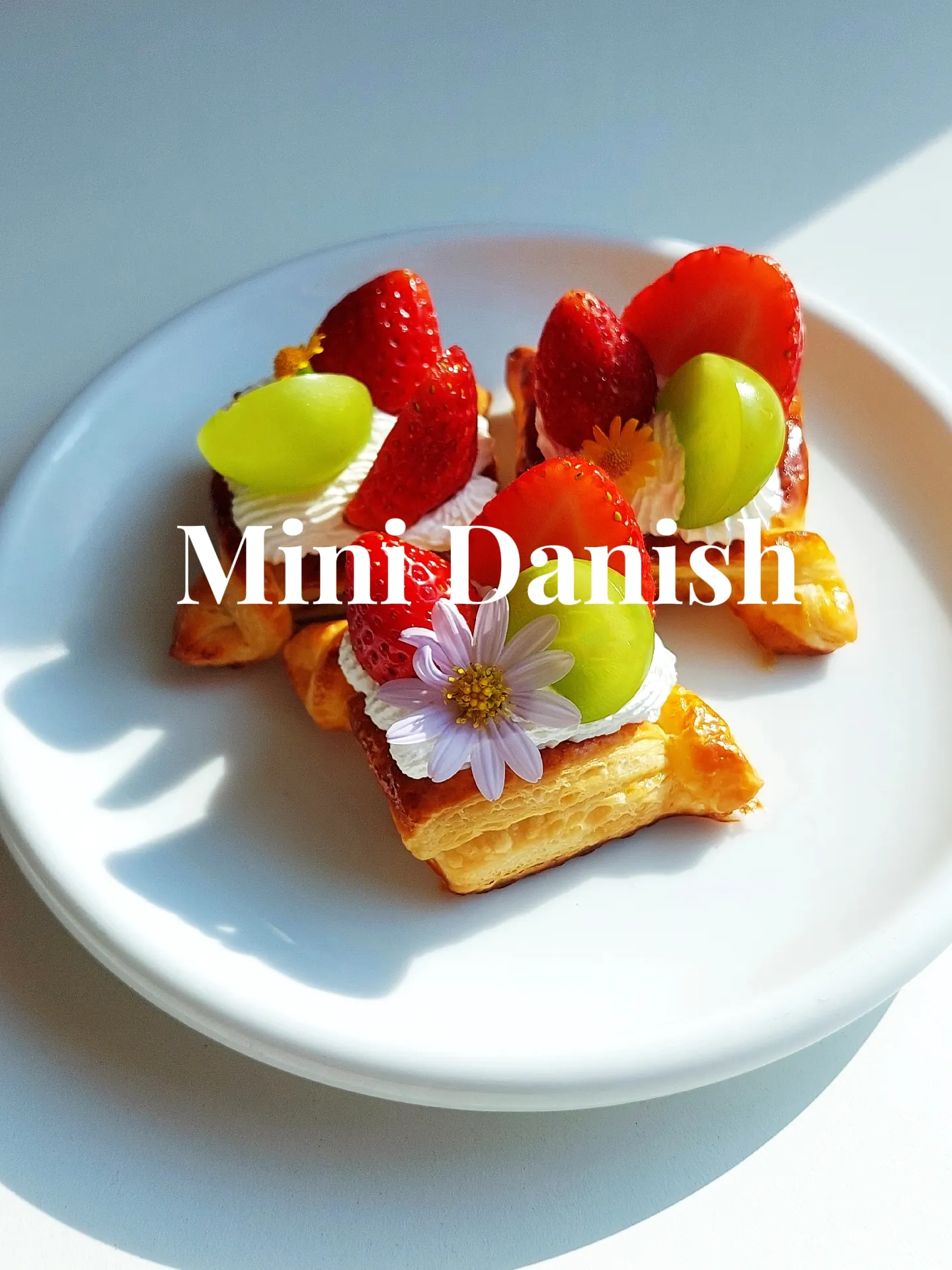 𝑴𝒊𝒏𝒊 𝑫𝒂𝒏𝒊𝒔𝒉 ... | แกลเลอรีที่โพสต์โดย 3 Junction | Lemon8