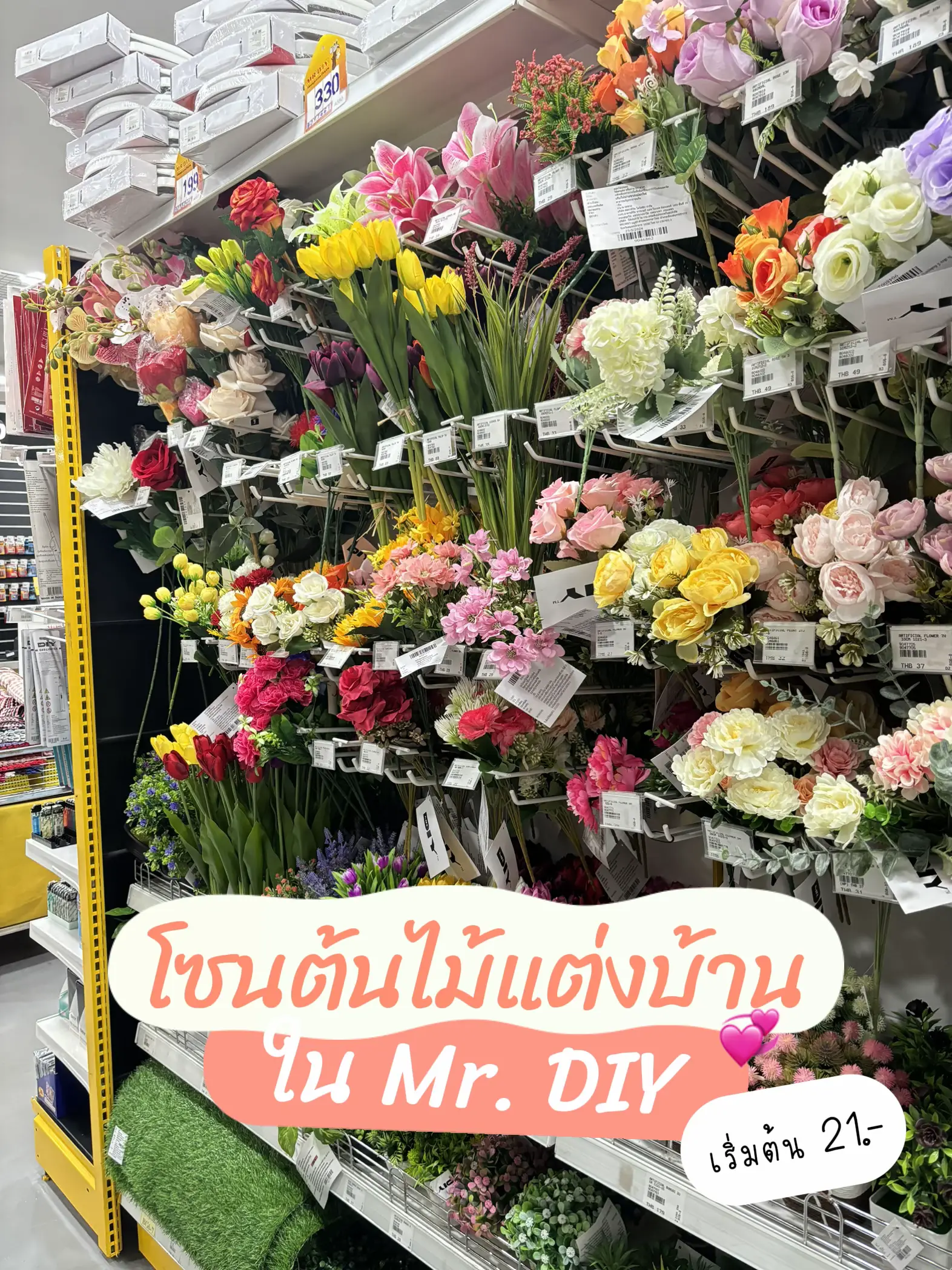 📍พิกัดต้นไม้แต่งบ้าน Mr. DIY🍀🌿 | แกลเลอรีที่โพสต์โดย Kidsna evee | Lemon8