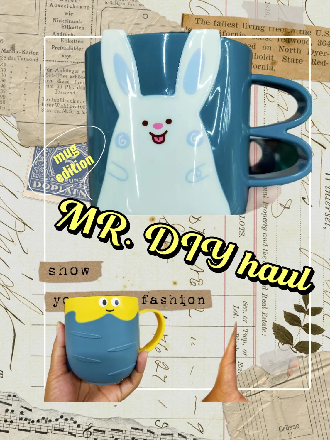MR. DIY haul | แกลเลอรีที่โพสต์โดย yoyo | Lemon8