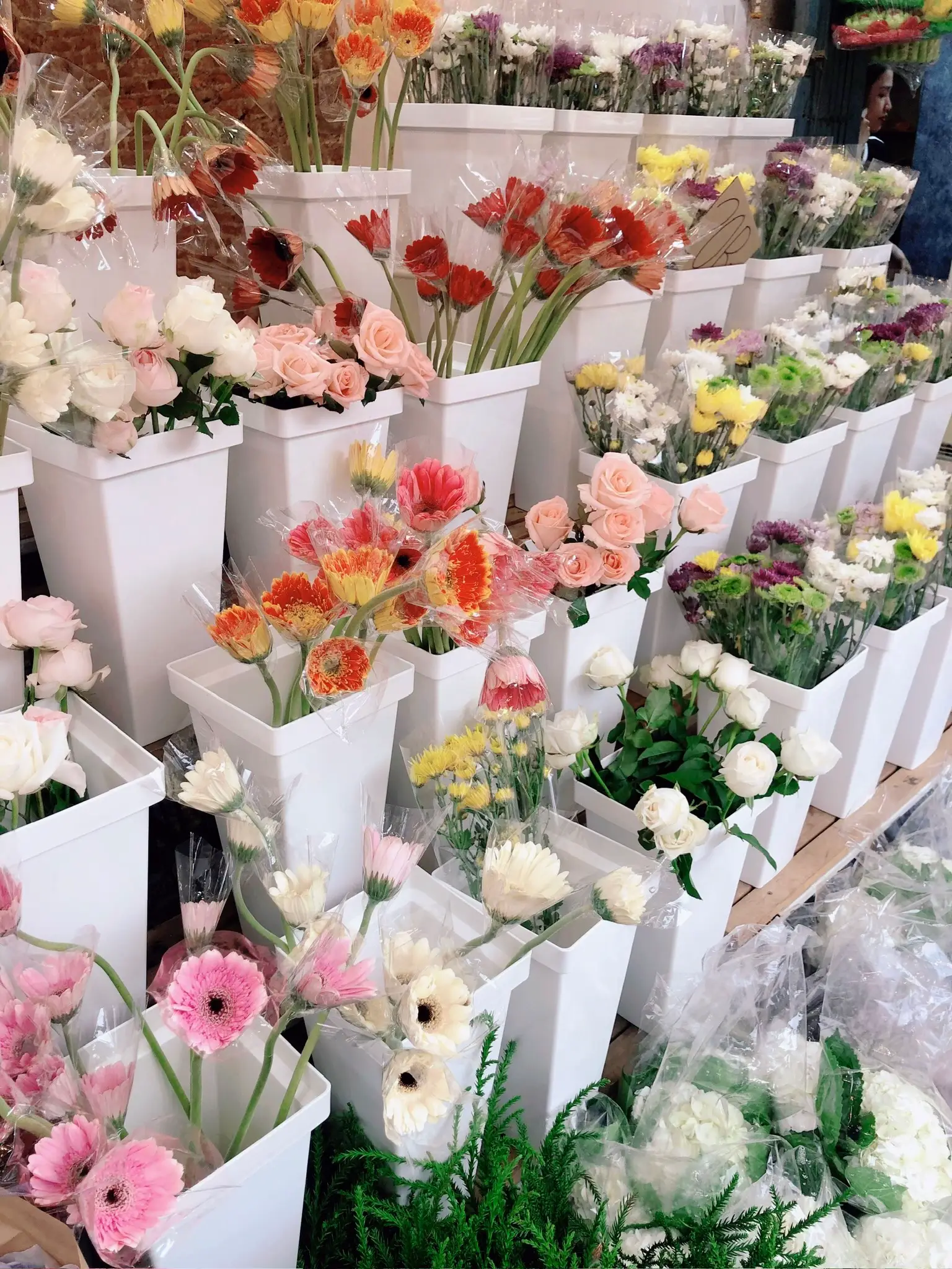 ALL.FLORA ร้านดอกไม้ย่านปากคลองตลาดที่ห้ามพลาด🌸 | แกลเลอรีที่โพสต์โดย ...