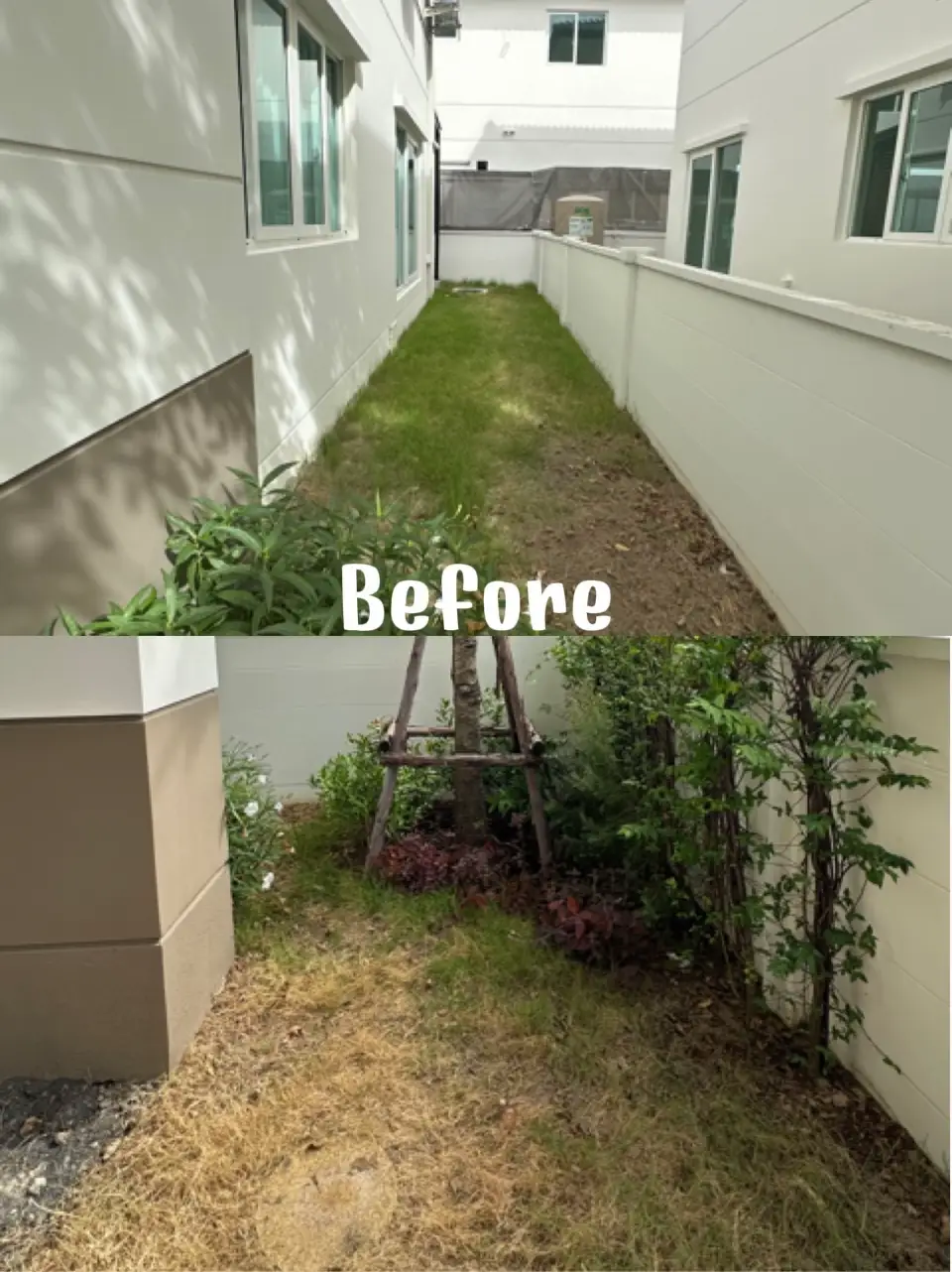 ปูพื้นรอบบ้านด้วยแผ่น SCG | แกลเลอรีที่โพสต์โดย Nuiyuwanich | Lemon8