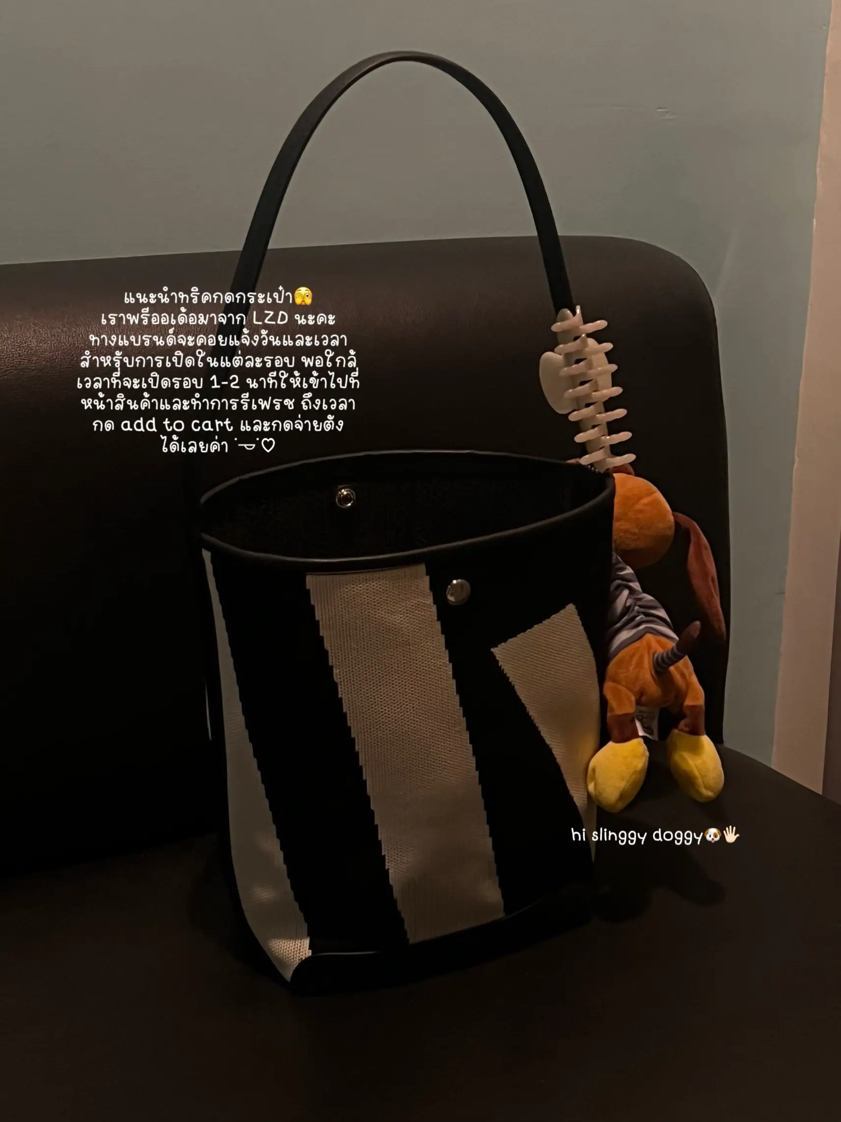 Rally movement- Rally the bag🐈‍⬛🖤 | แกลเลอรีที่โพสต์โดย bell🐡 | Lemon8