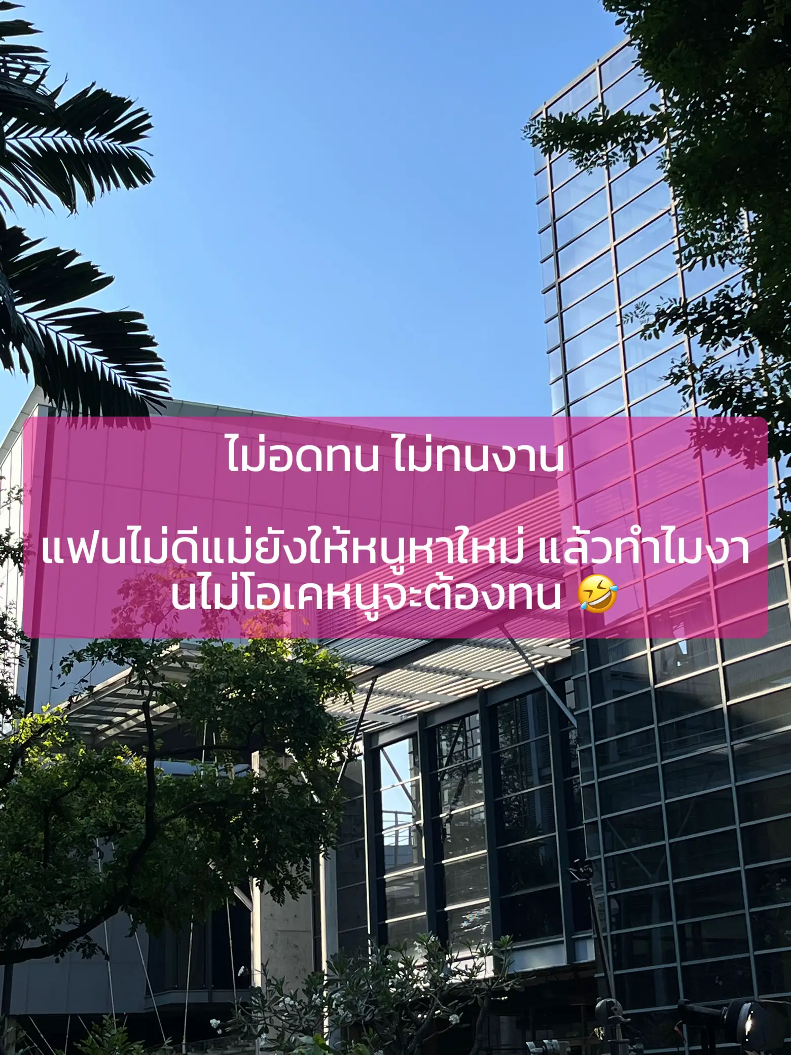 อายุ 24 ลาออกจากงาน 2 ครั้ง 🚪 ปังหรือตุ้บ | แกลเลอรีที่โพสต์โดย Mi’mew_ncp | Lemon8