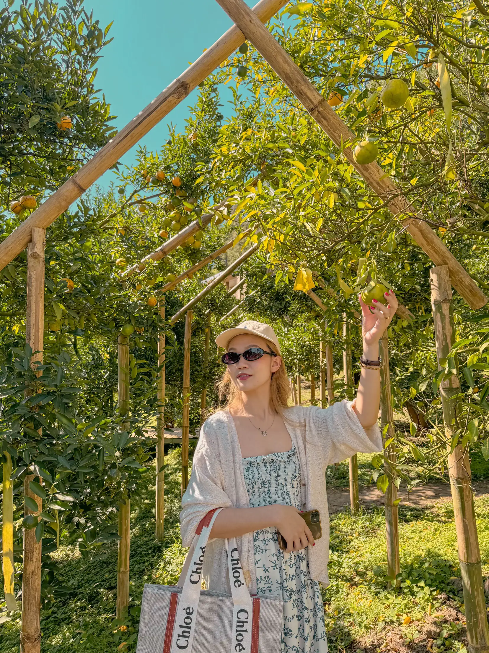 MY GARDEN (Mon Jam, Chiangmai) | แกลเลอรีที่โพสต์โดย Pangpond NTK | Lemon8