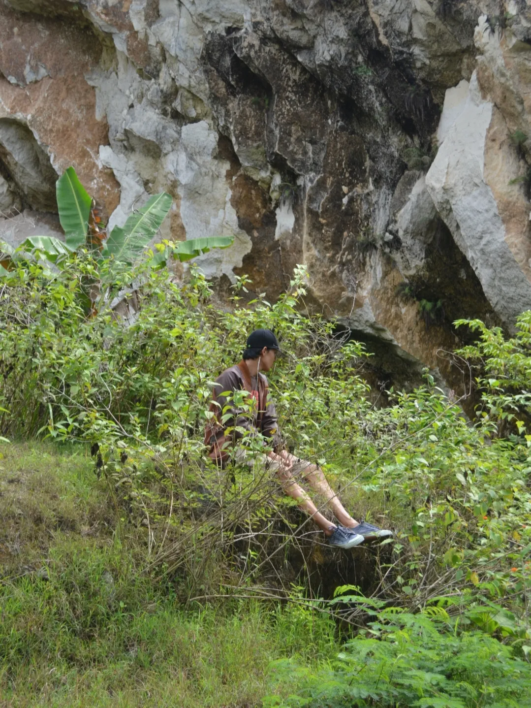 Nature 💜 | แกลเลอรีที่โพสต์โดย HERI A | Lemon8