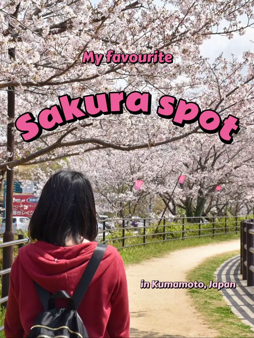 No more gatekeeping my fav sakura spot!🌸 | Gallery posted by sher | Lemon8