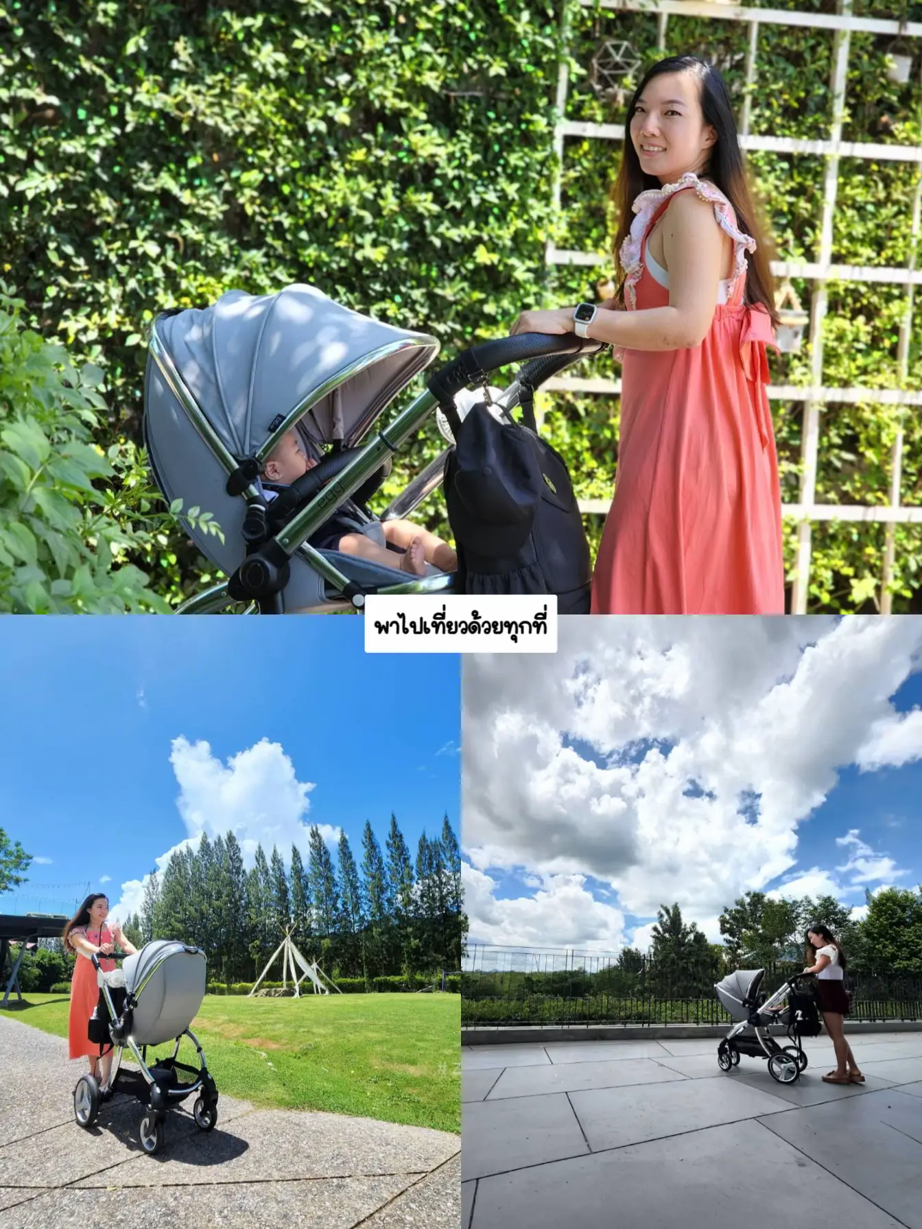 รถเข็นไข่🥚 “egg2” ใช้จริงไม่มีอวย!👍 | แกลเลอรีที่โพสต์โดย Zyne’s Diary | Lemon8