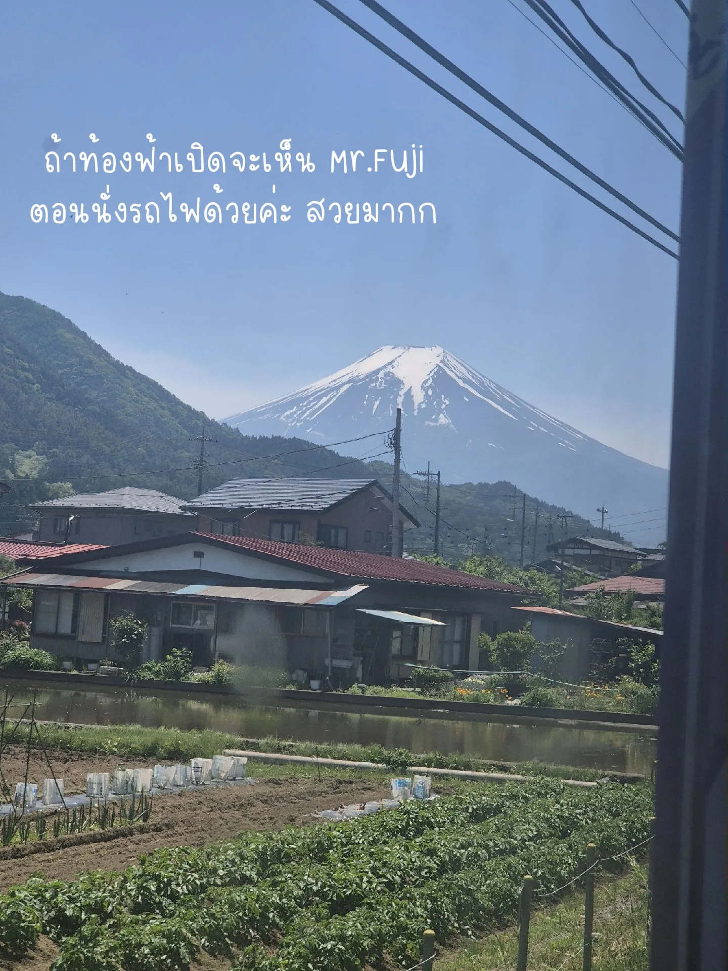 เที่ยว Fuji kawaguchiko (one day trip) 🗻🌸 | แกลเลอรีที่โพสต์โดย KA-TAENG | Lemon8