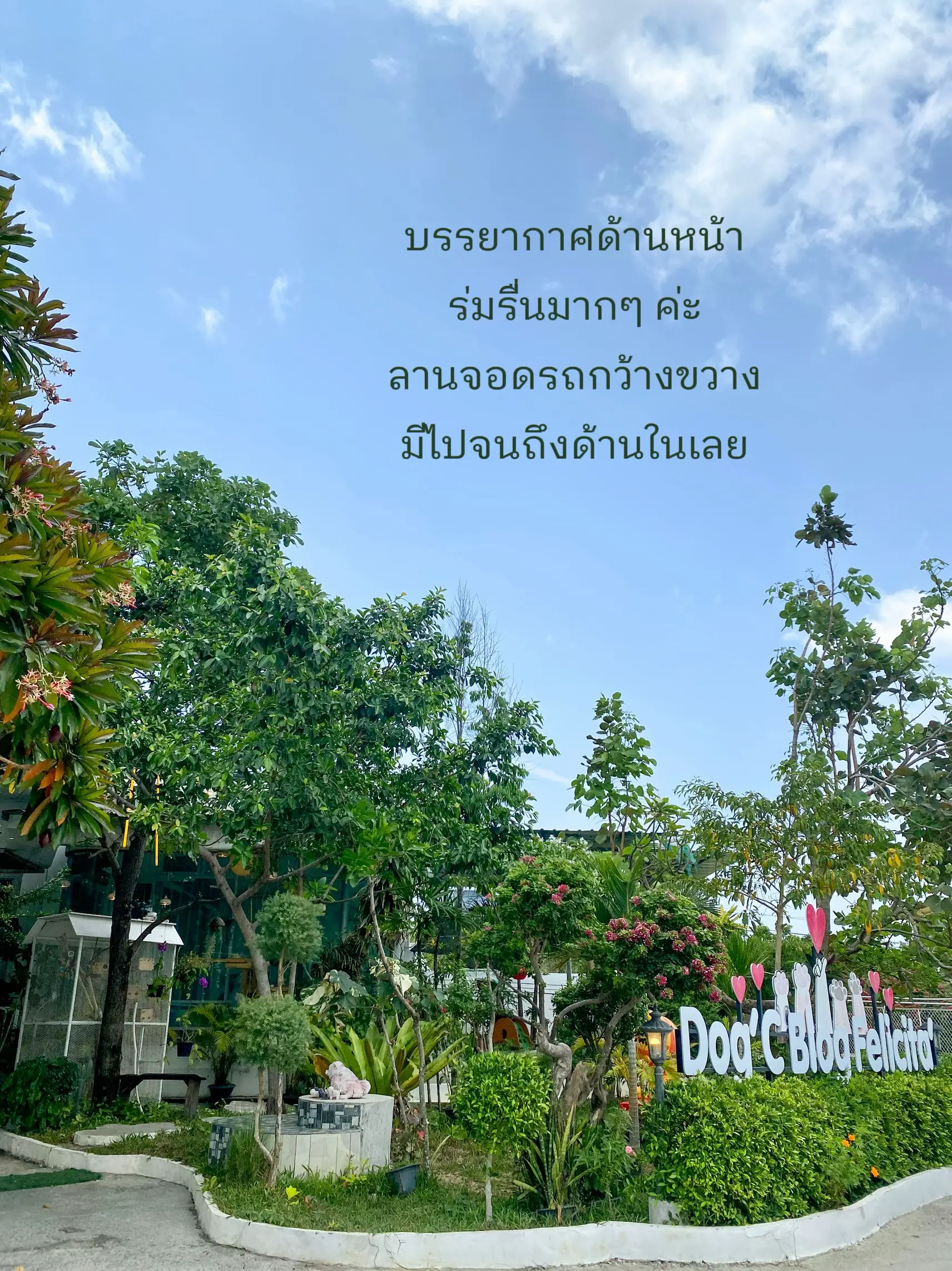 ชวนมาคาเฟ่น้องหมามือ 2 ที่พัทยา 🧁🦮 | แกลเลอรีที่โพสต์โดย ch.poet | Lemon8