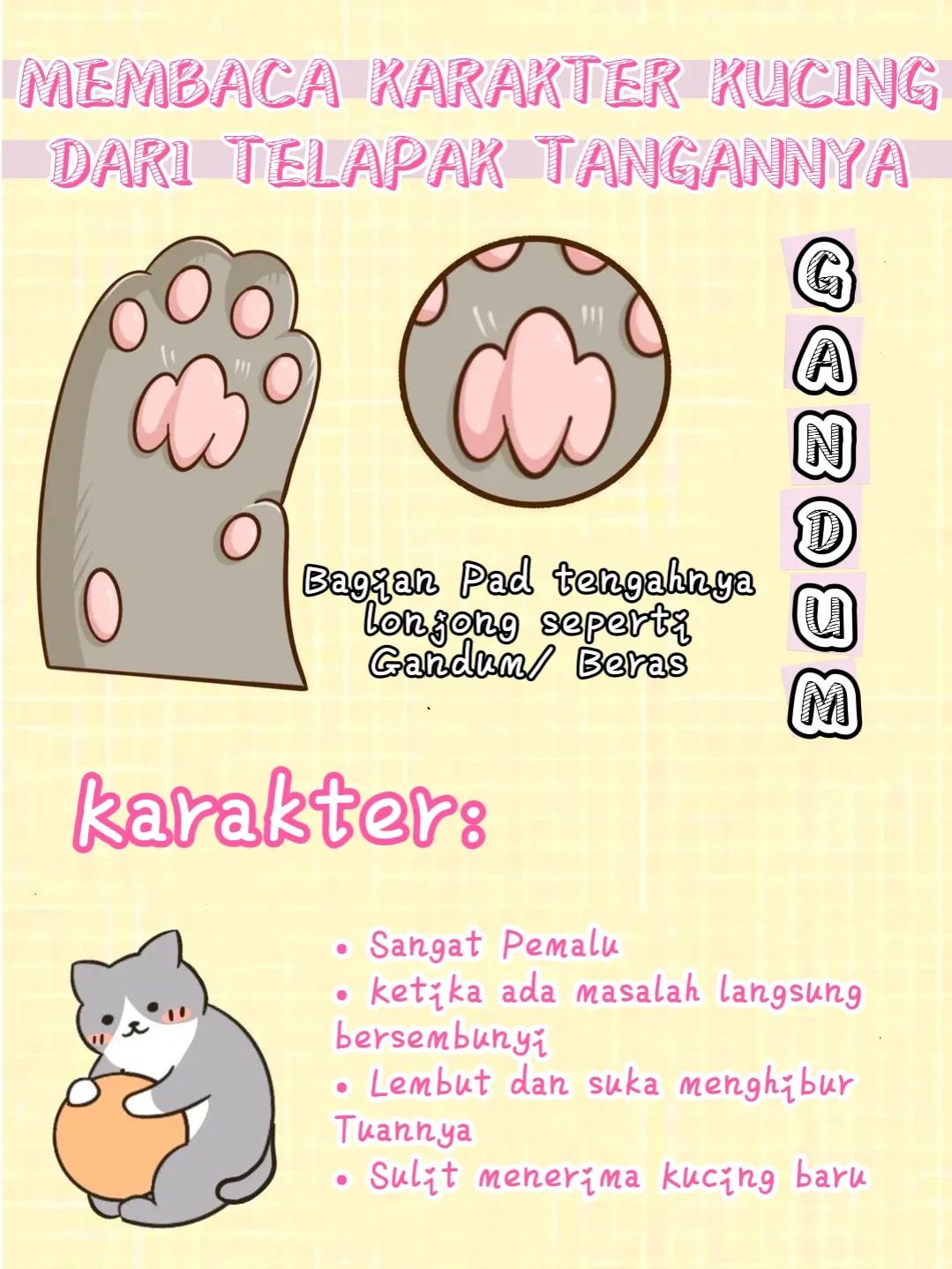 🐾KENALI KARAKTER KUCINGMU DARI TELAPAK TANGANNYA 😺 | Galeri diposting oleh Lily Pet Lovers | Lemon8