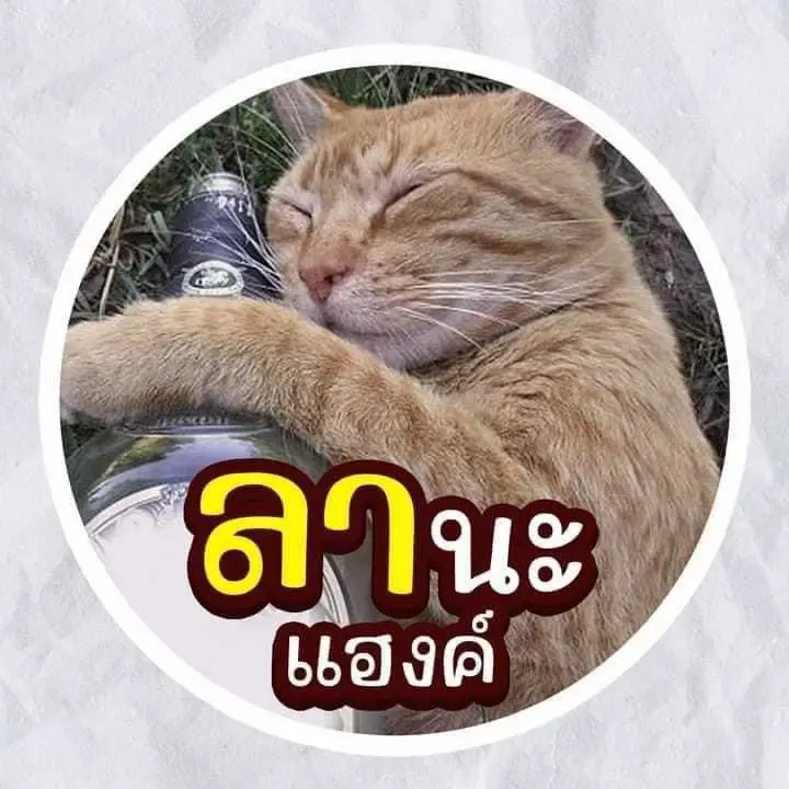 รูปโปรไฟล์กวนๆ ใช้ตั้งในไลน์วันหยุดงาน | แกลเลอรีที่โพสต์โดย koravich ...