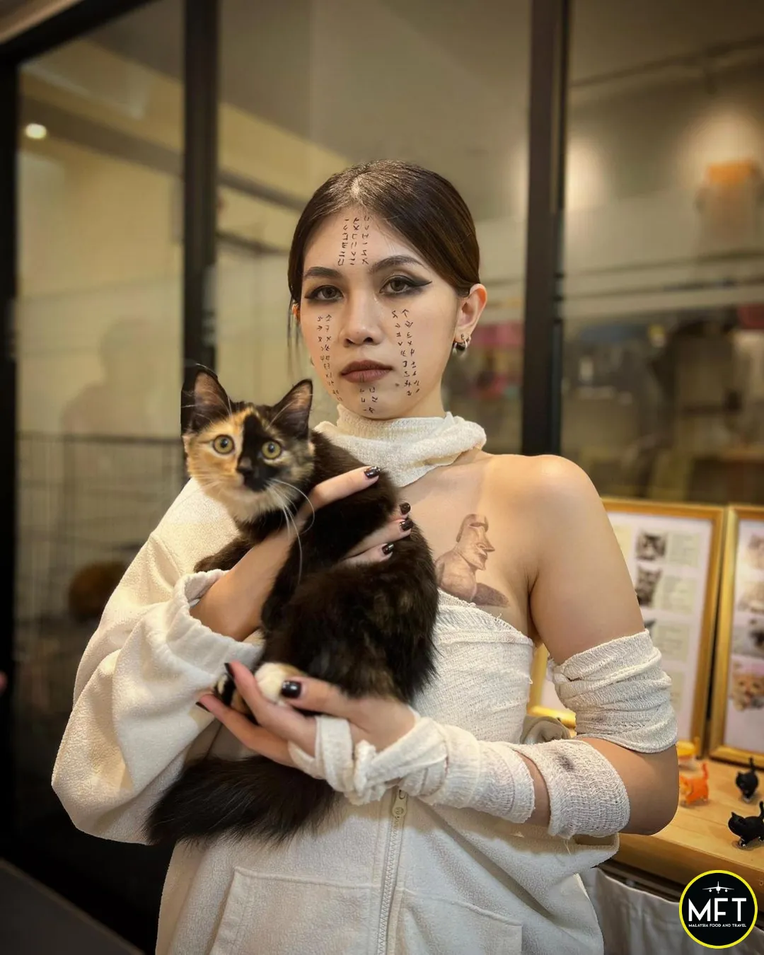 🐈NEW Halal Cat Cafe in KL!☕ | Galeri diposting oleh MFT | Lemon8