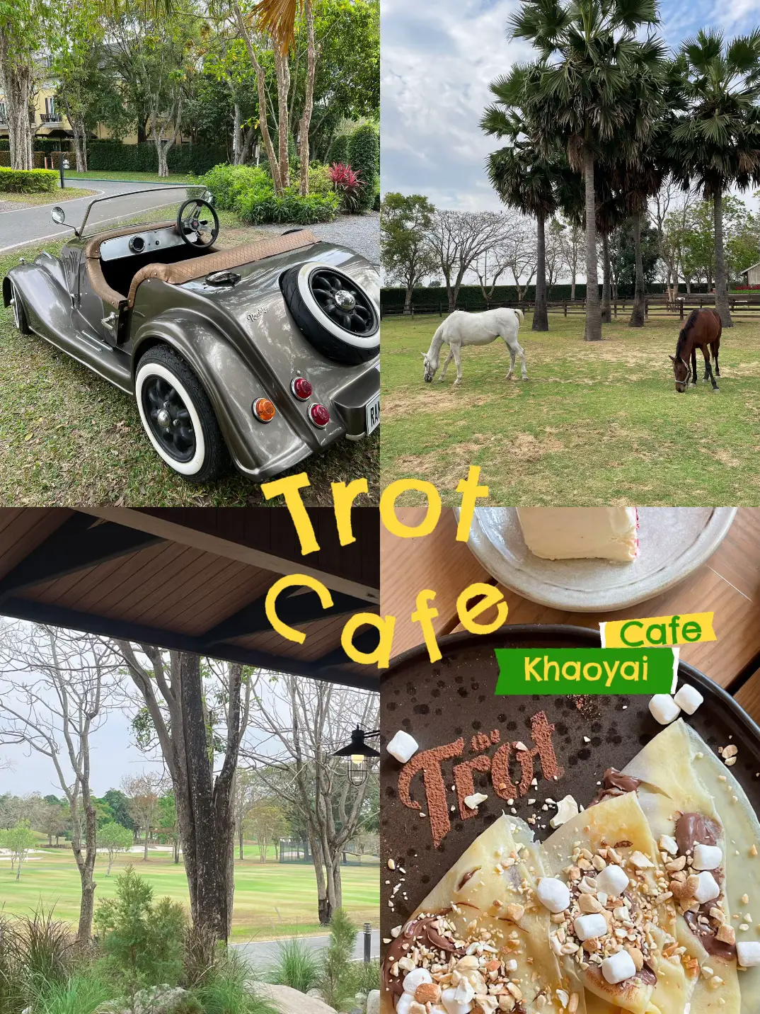 𓂃⋆｡Trot cafe in khaoyai🍃🛖🐎 | แกลเลอรีที่โพสต์โดย thatpichh🍪 | Lemon8