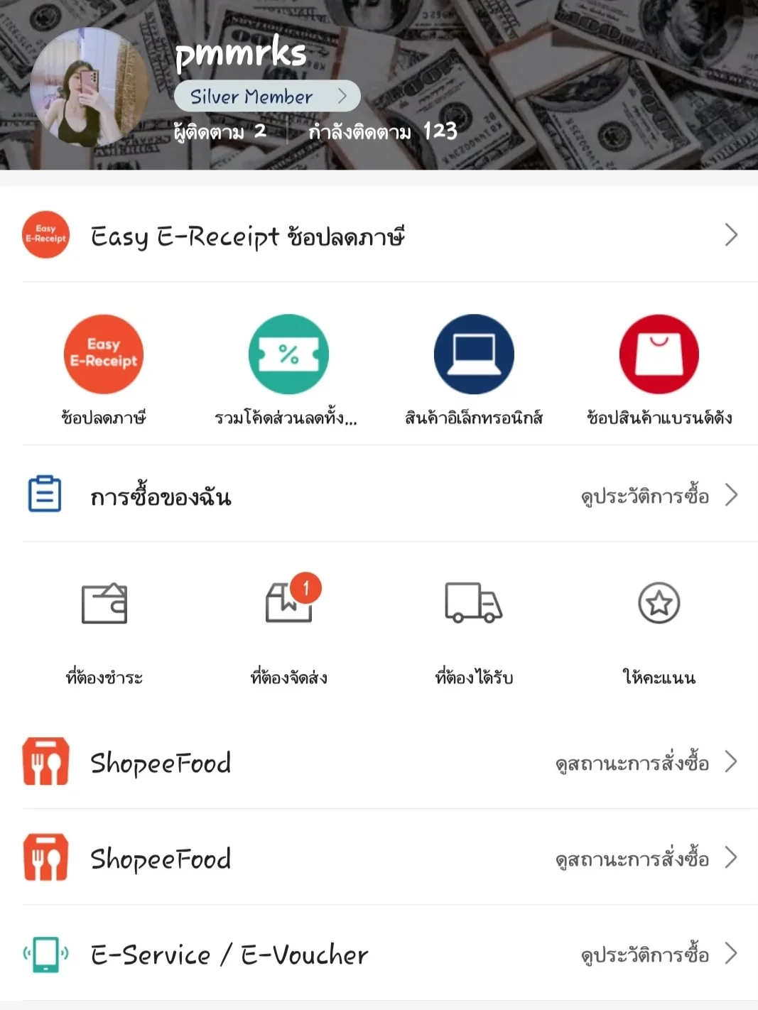 Silver Wolf ราคา - การค้นหาใน Lemon8