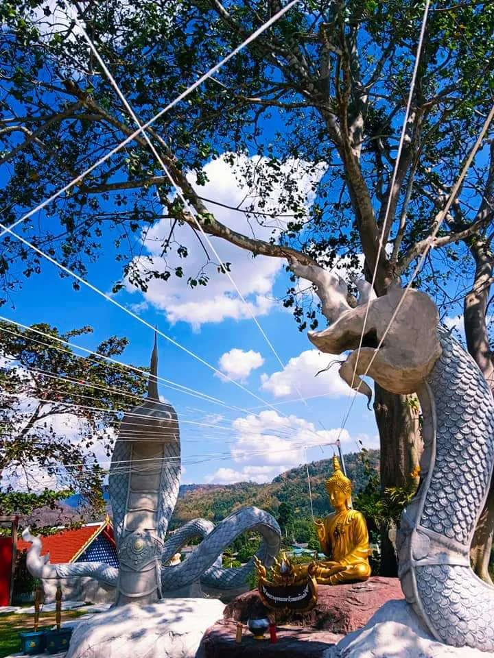 พิกัดสายมู เจิมมือจินดามณีใหญ่พระสังข์เรียกทรัพย์ แกลเลอรีที่โพสต์โดย